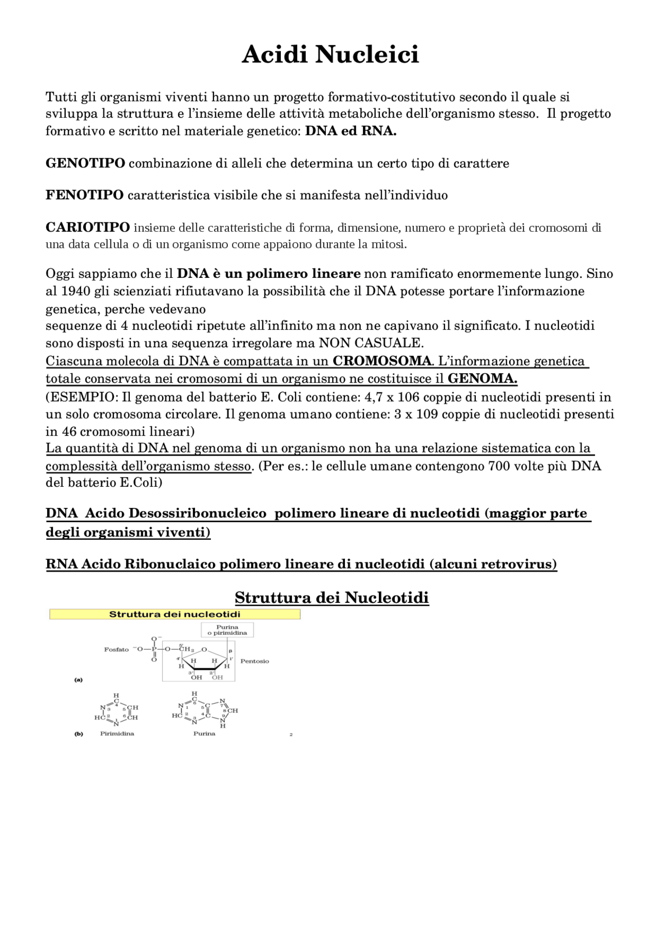 Appunti Di Fondamenti Neurobiologici E Genetici Docsity