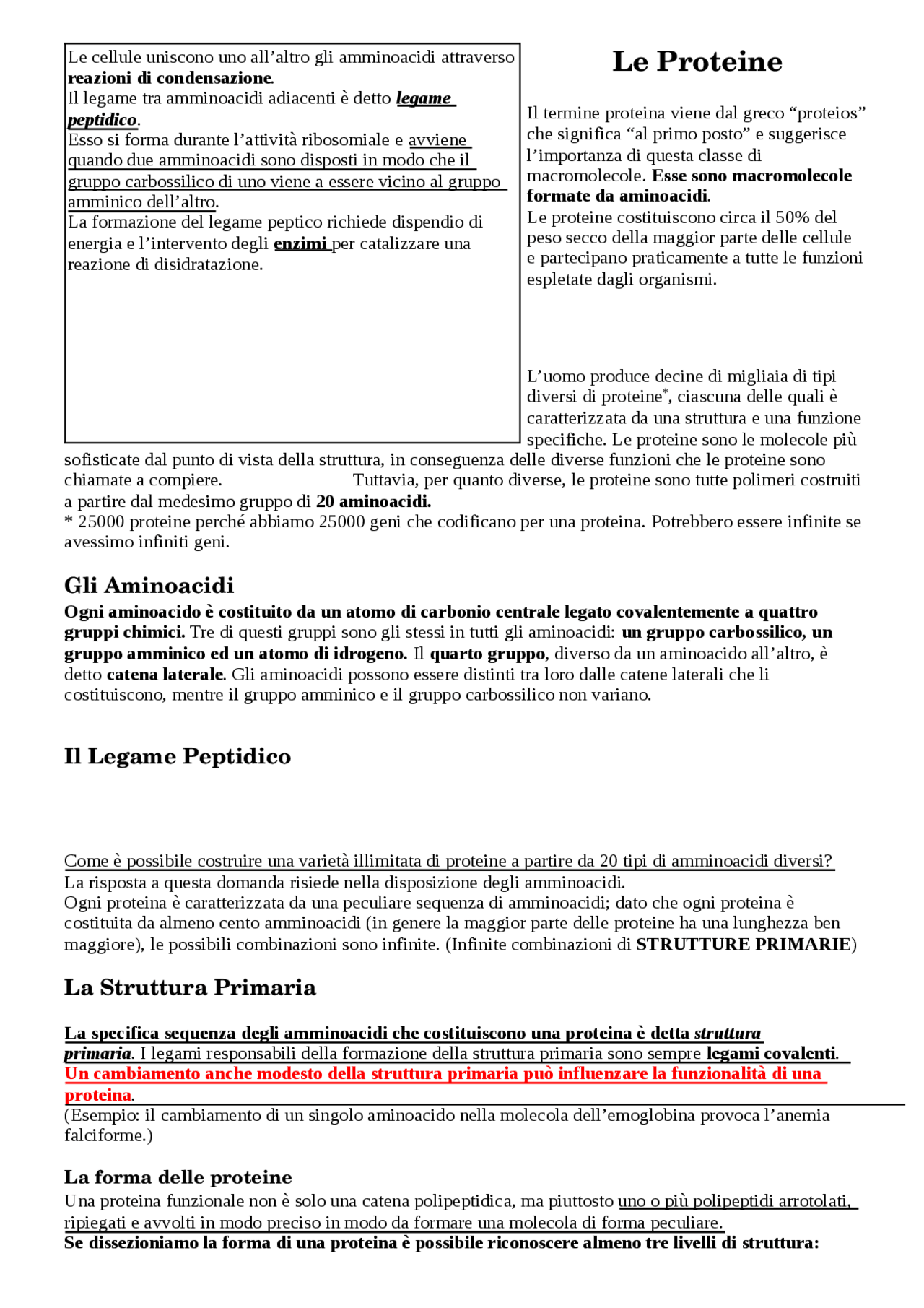 Appunti Di Fondamenti Neurobiologici E Genetici Docsity