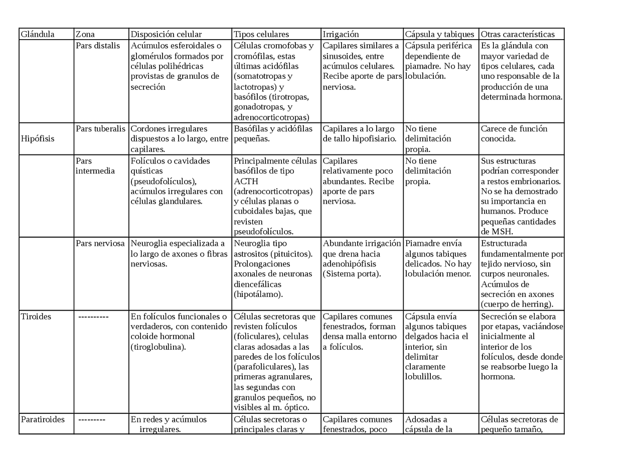Histologia Sistema Endocrino Apuntes De Histología Docsity
