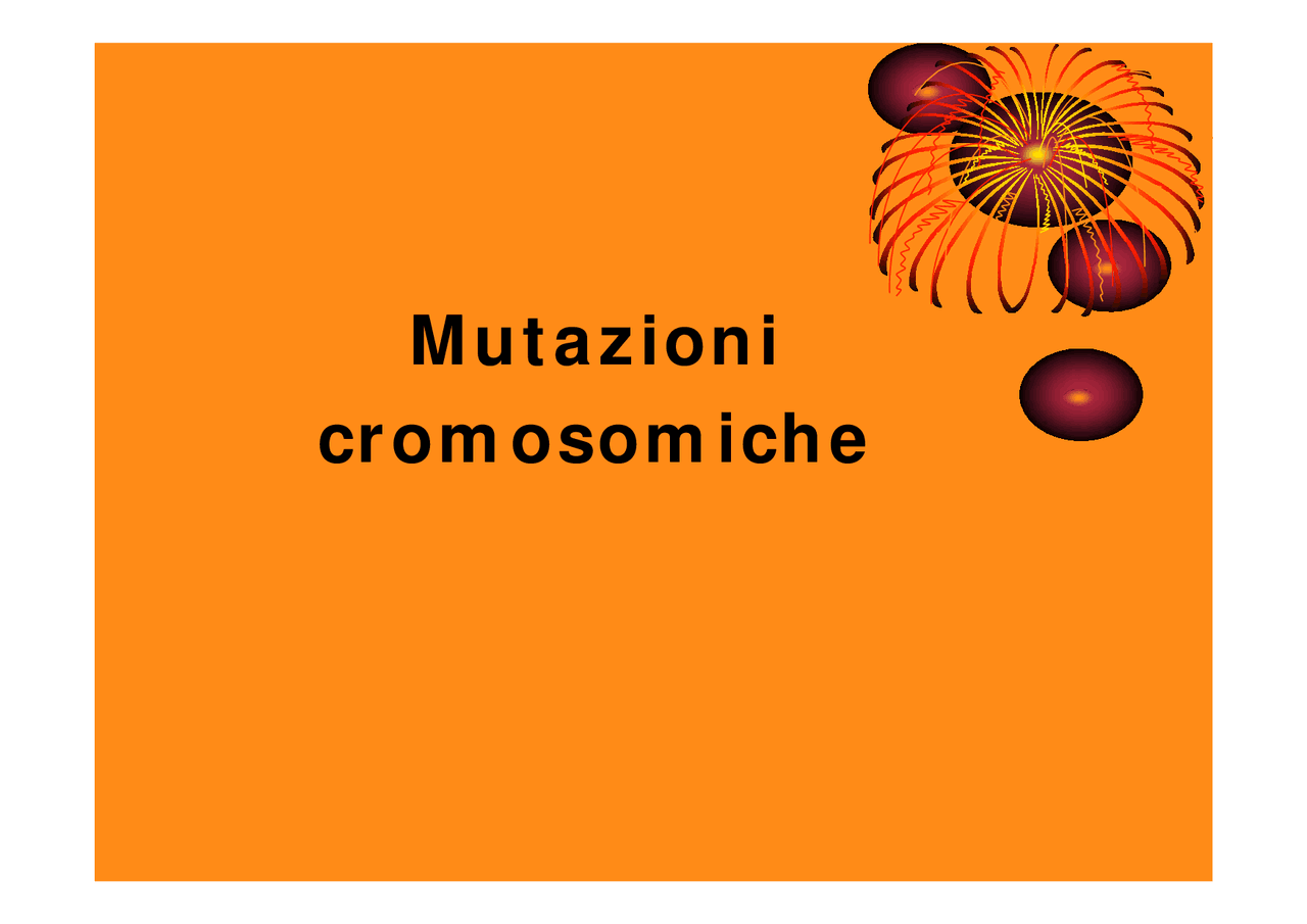 Mutazioni Cromosomiche Docsity