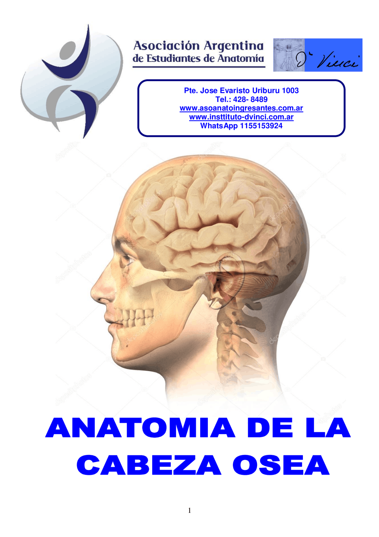 Apunte de cráneo endocraneo y exocraneo | Apuntes de Anatomía | Docsity