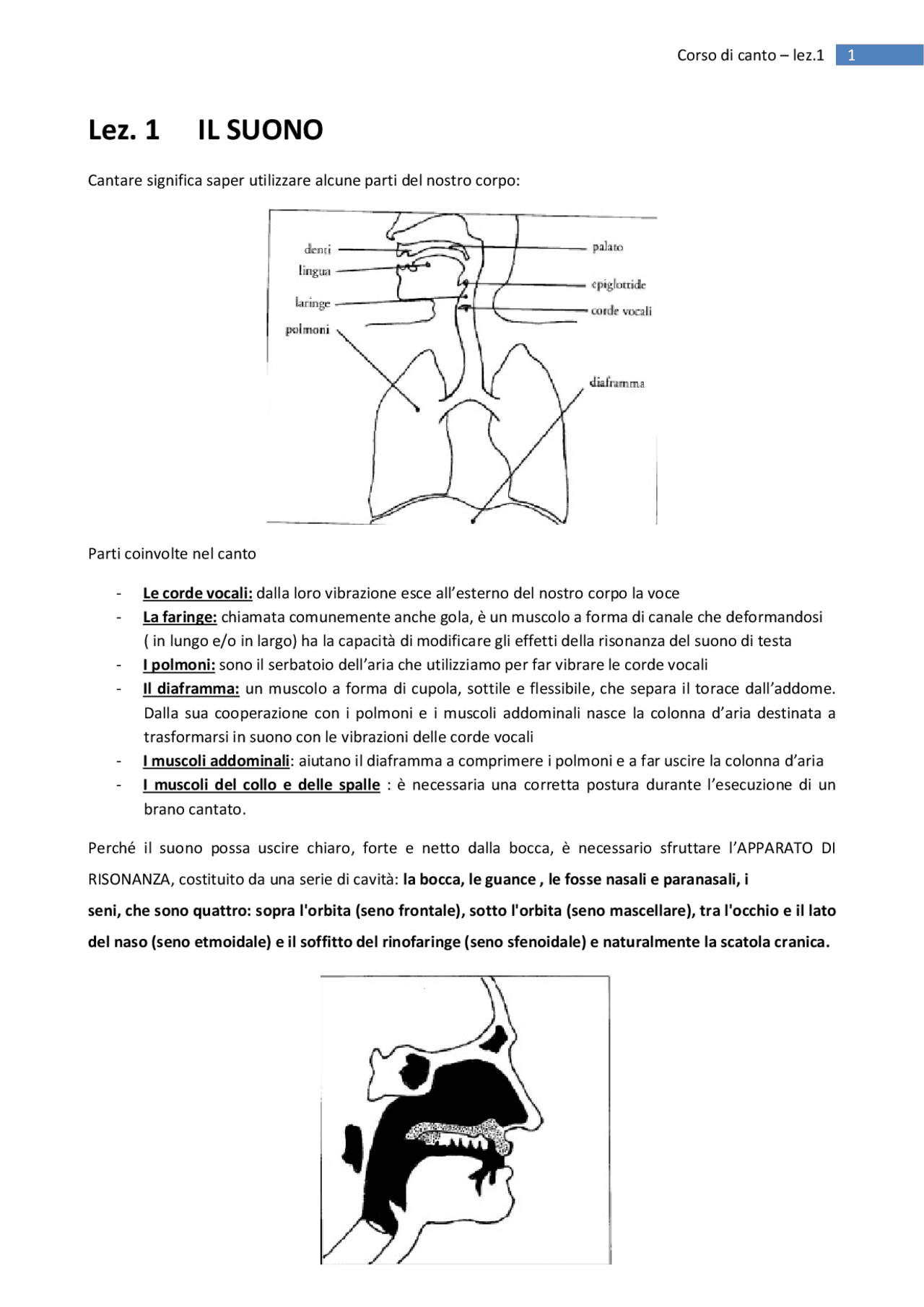 Corso Di Canto Il Suono Docsity