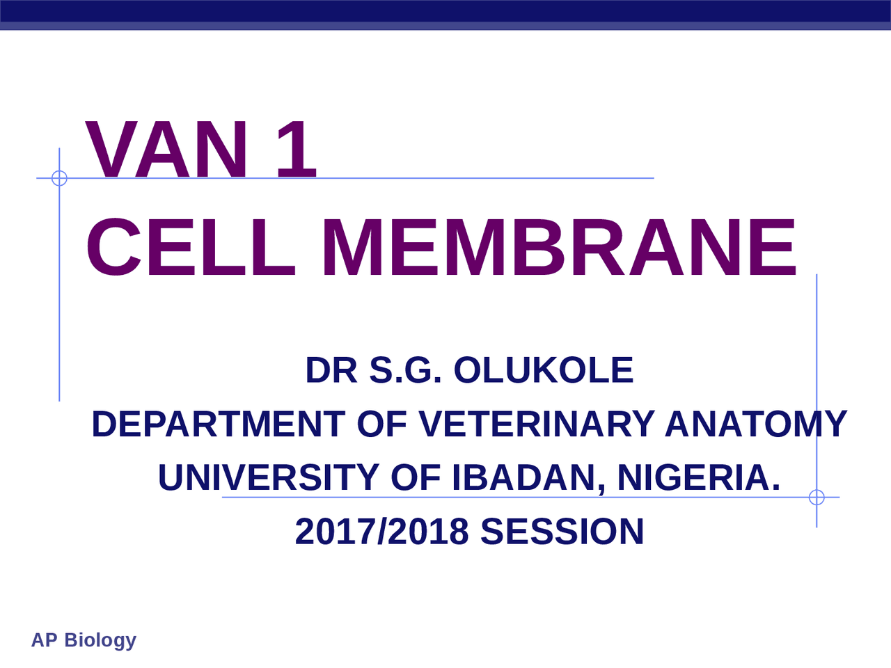 Cell Membranes Including Cell Surface Modifications Docsity