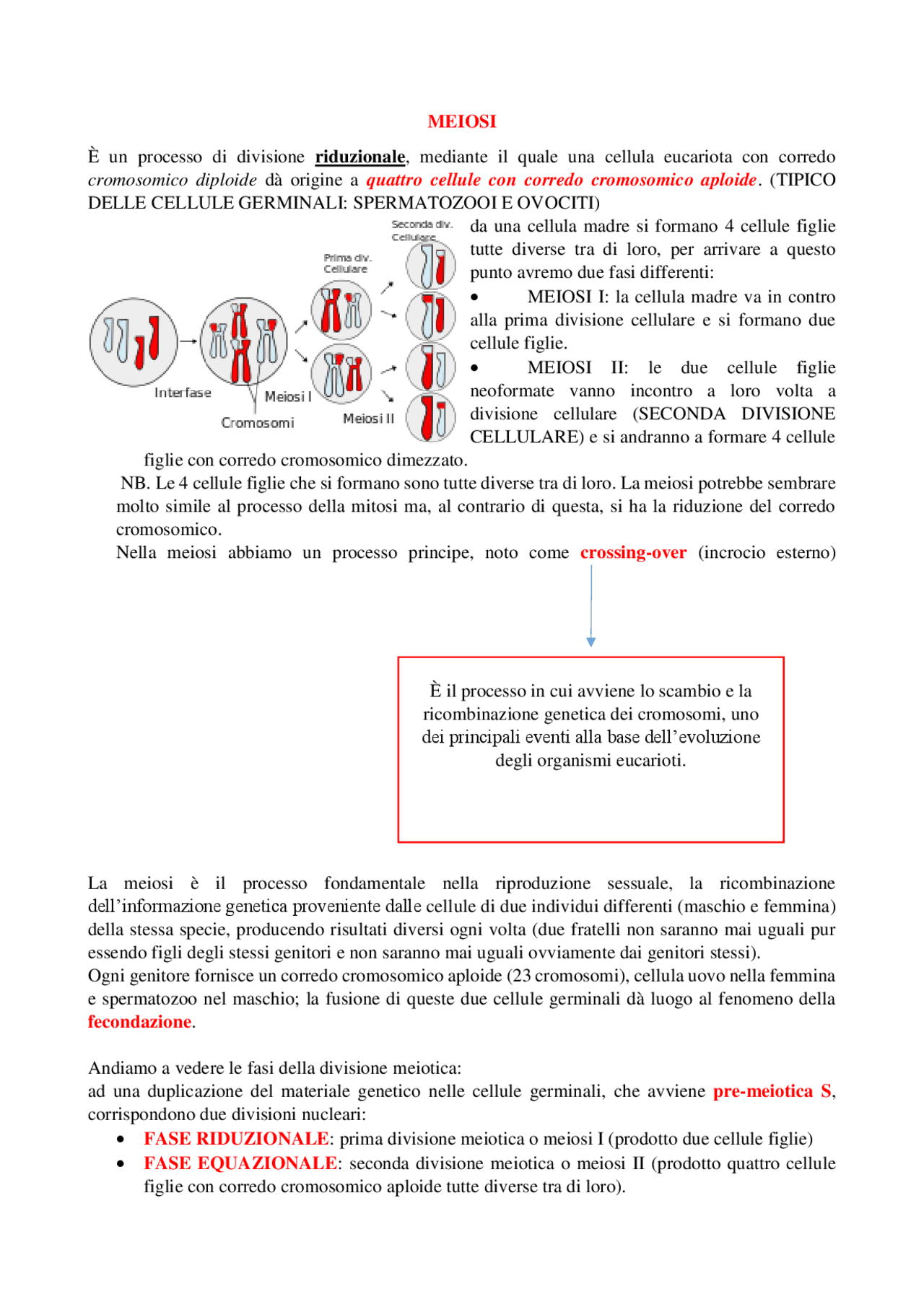 Divisione Cellulare La Meiosi Docsity