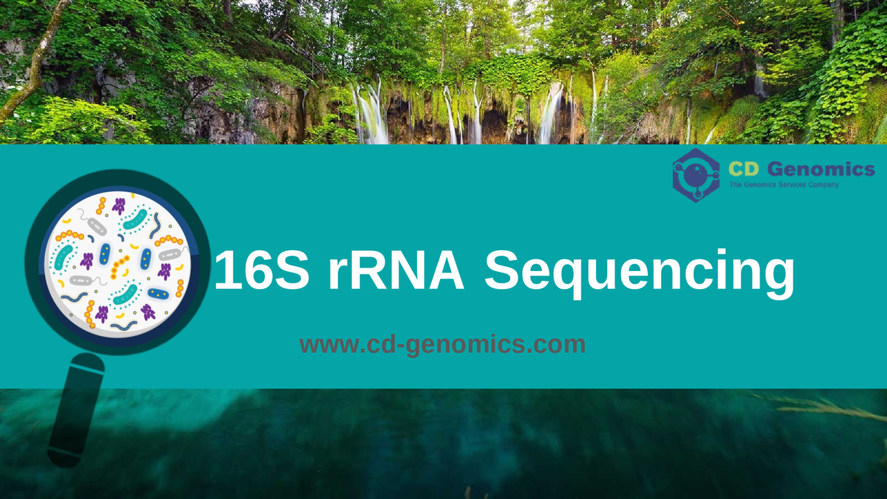Workflow of 16S rRNA sequencing - Docsity