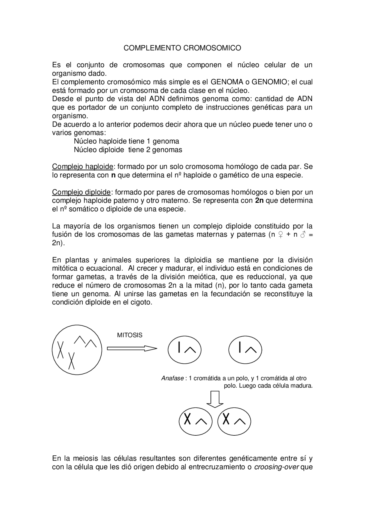 Complemento cromosómico - Docsity