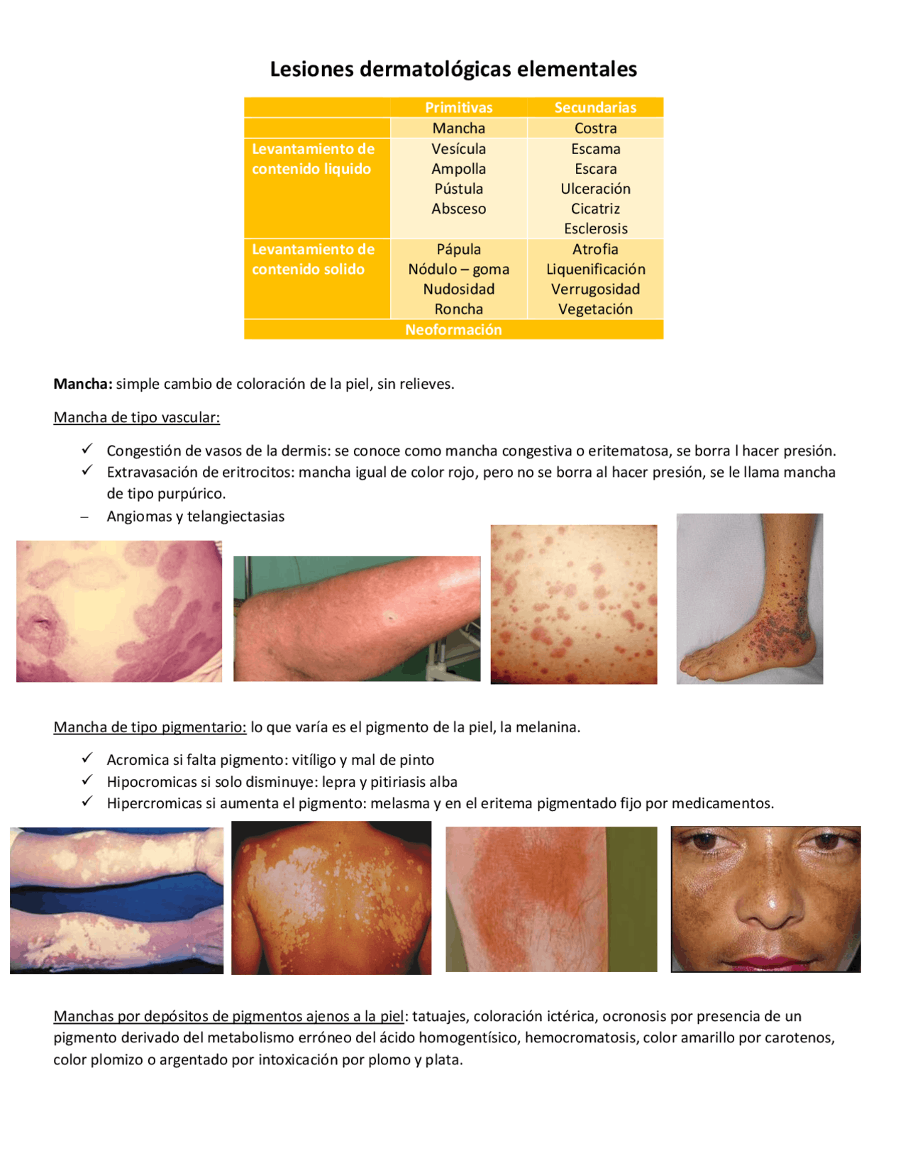 Lesiones elementales - Docsity