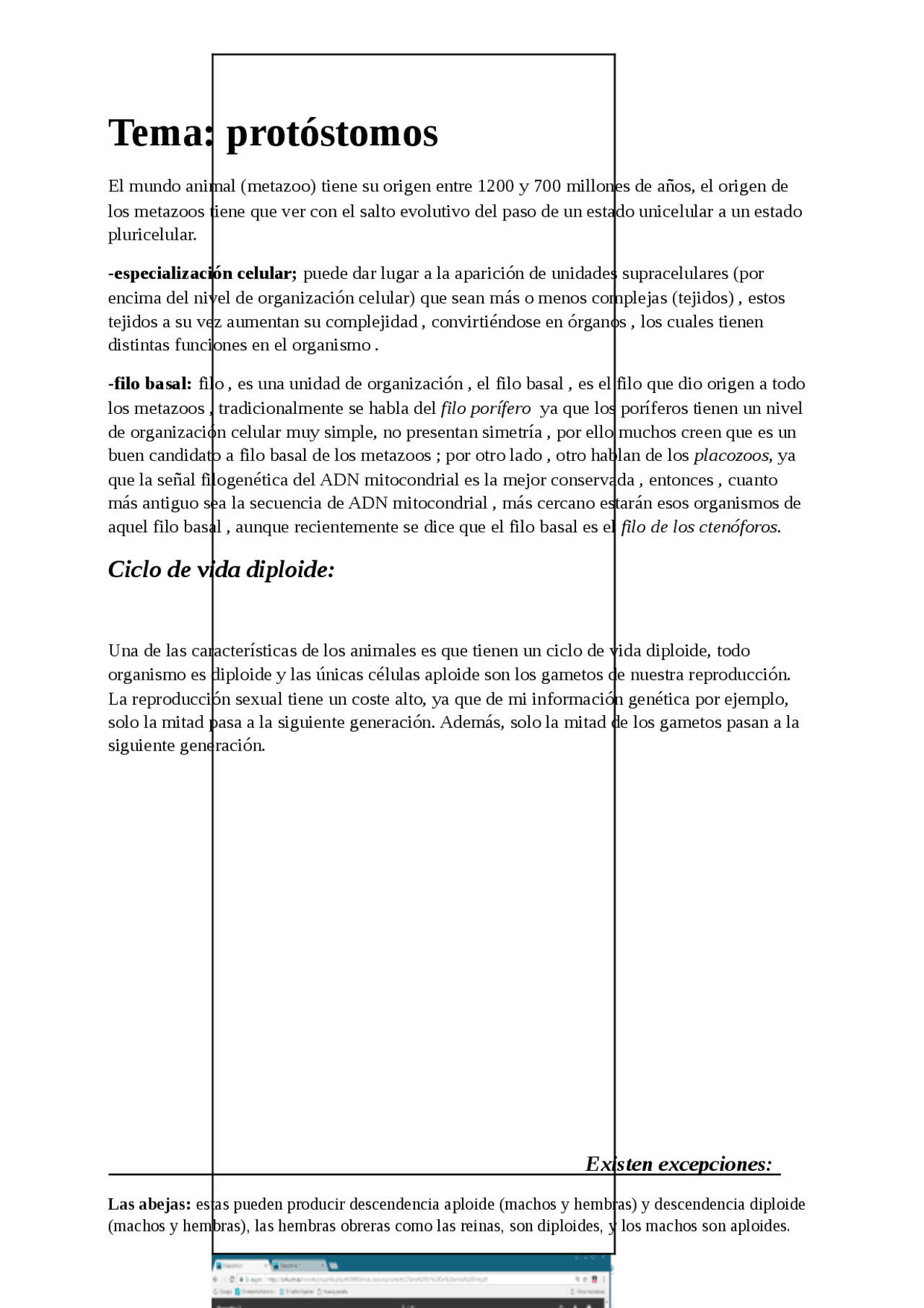 Zoologia tema de los protostomos - Docsity