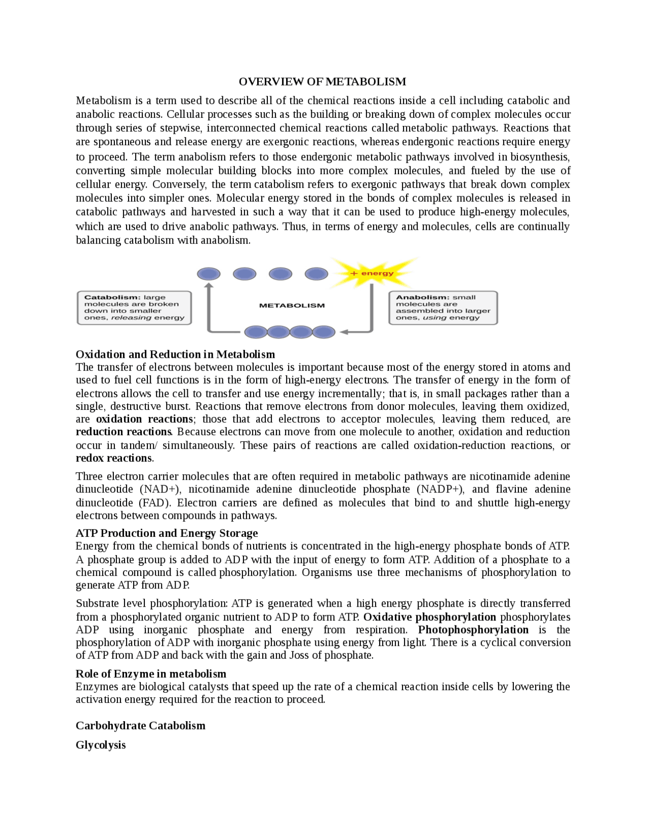 Microbial Metabolism Docsity