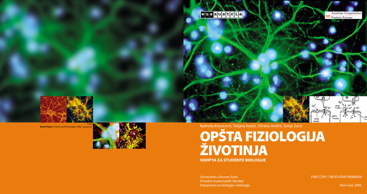 Opšta fiziologija životinja skripta | Rezime' predlog Anatomija i ...