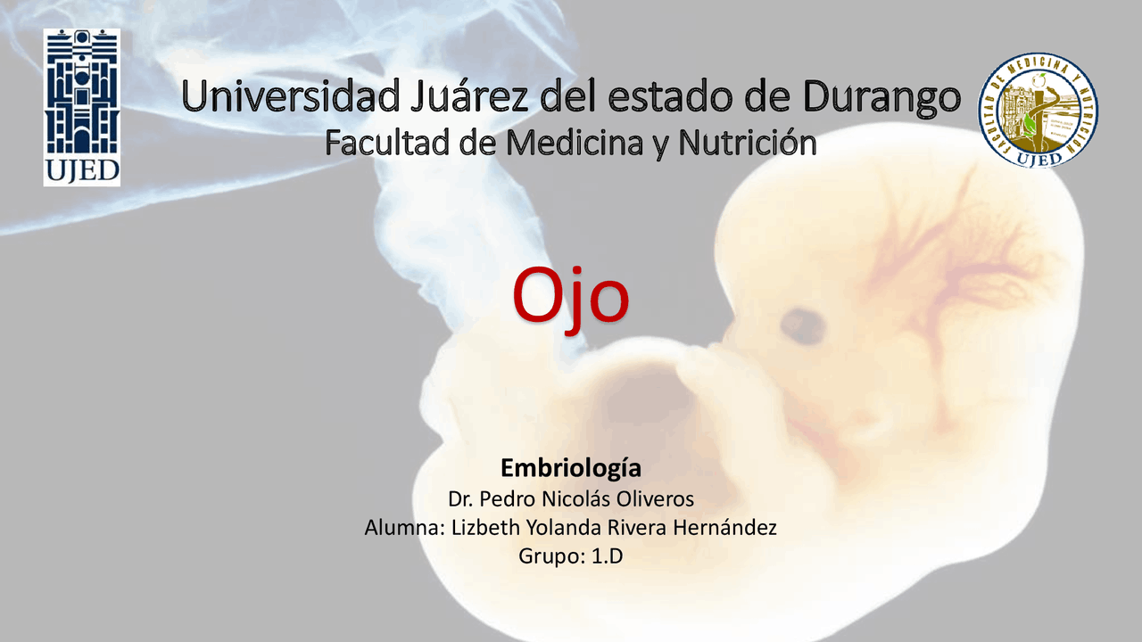 Desarrollo Embrionario del Ojo - Docsity