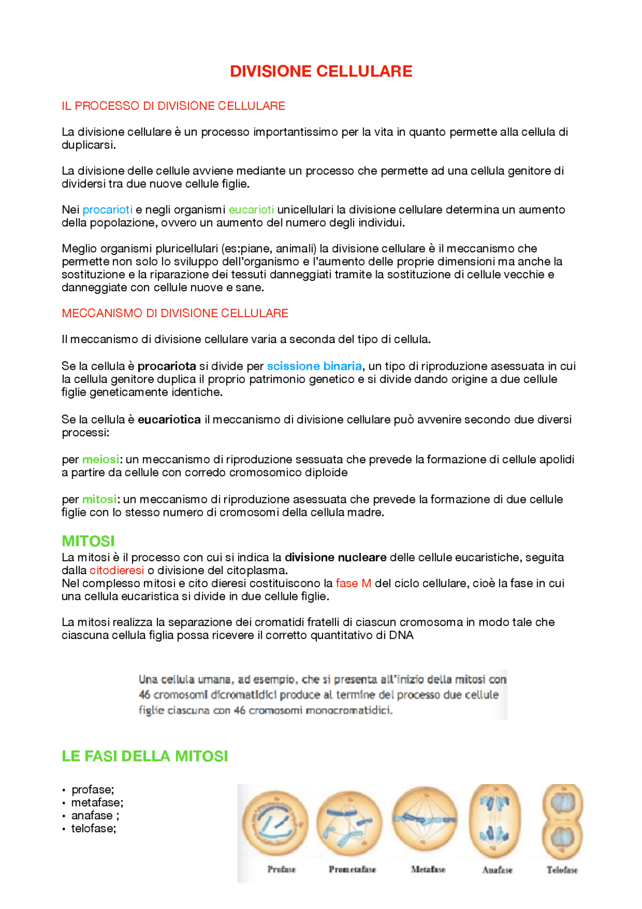 Riproduzione Cellulare Docsity