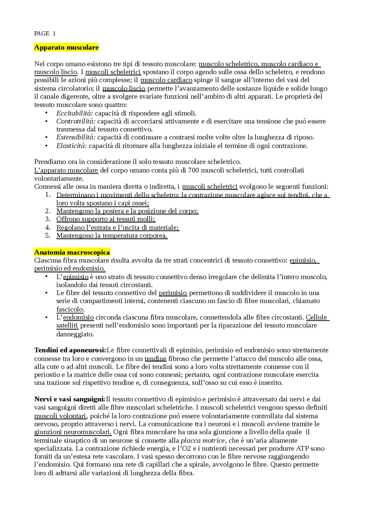 Lapparato Muscolare Anatomia Appunti Di Anatomia Docsity