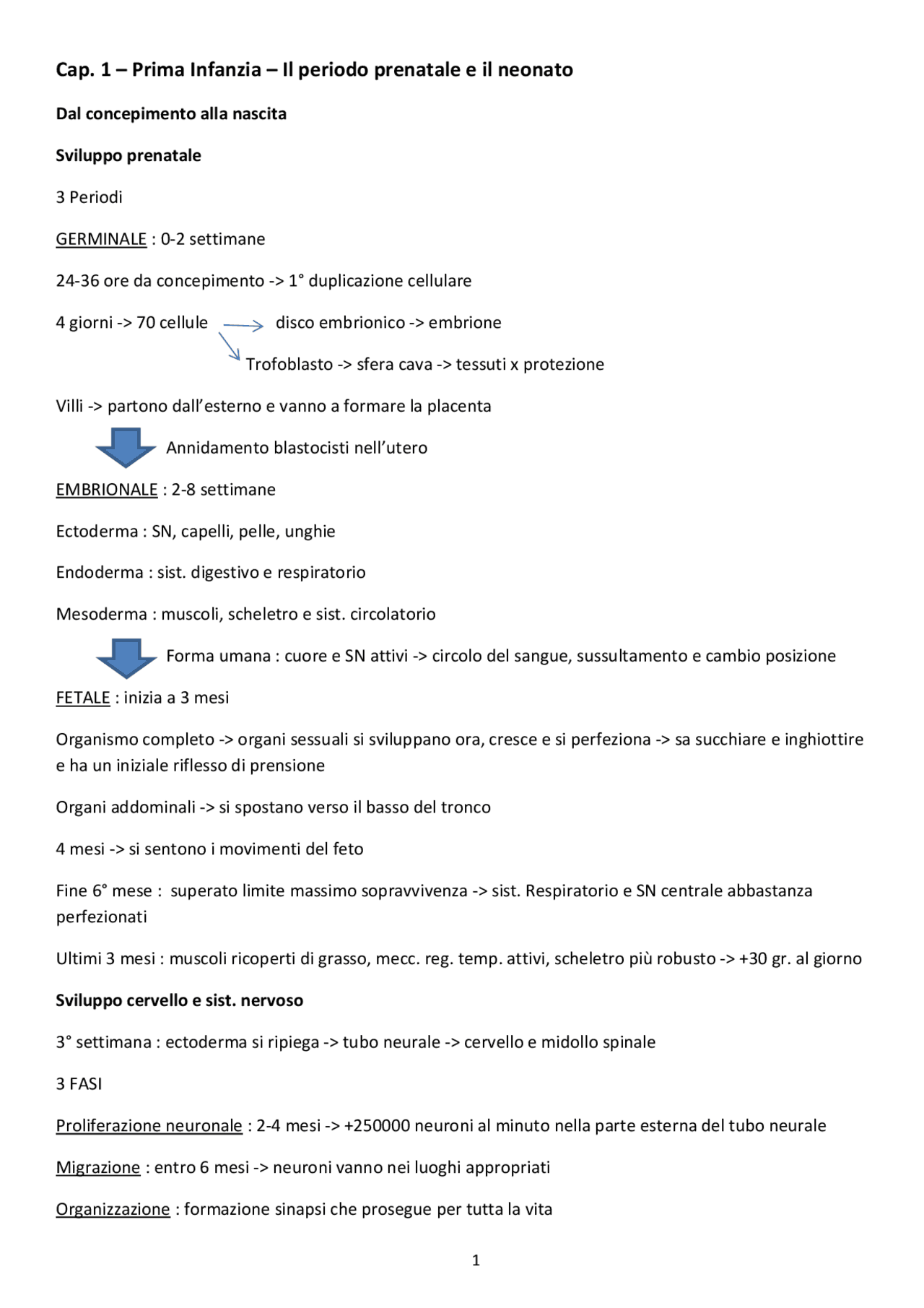 Psicologia Dello Sviluppo E Delleducazione Berti Bombi Docsity