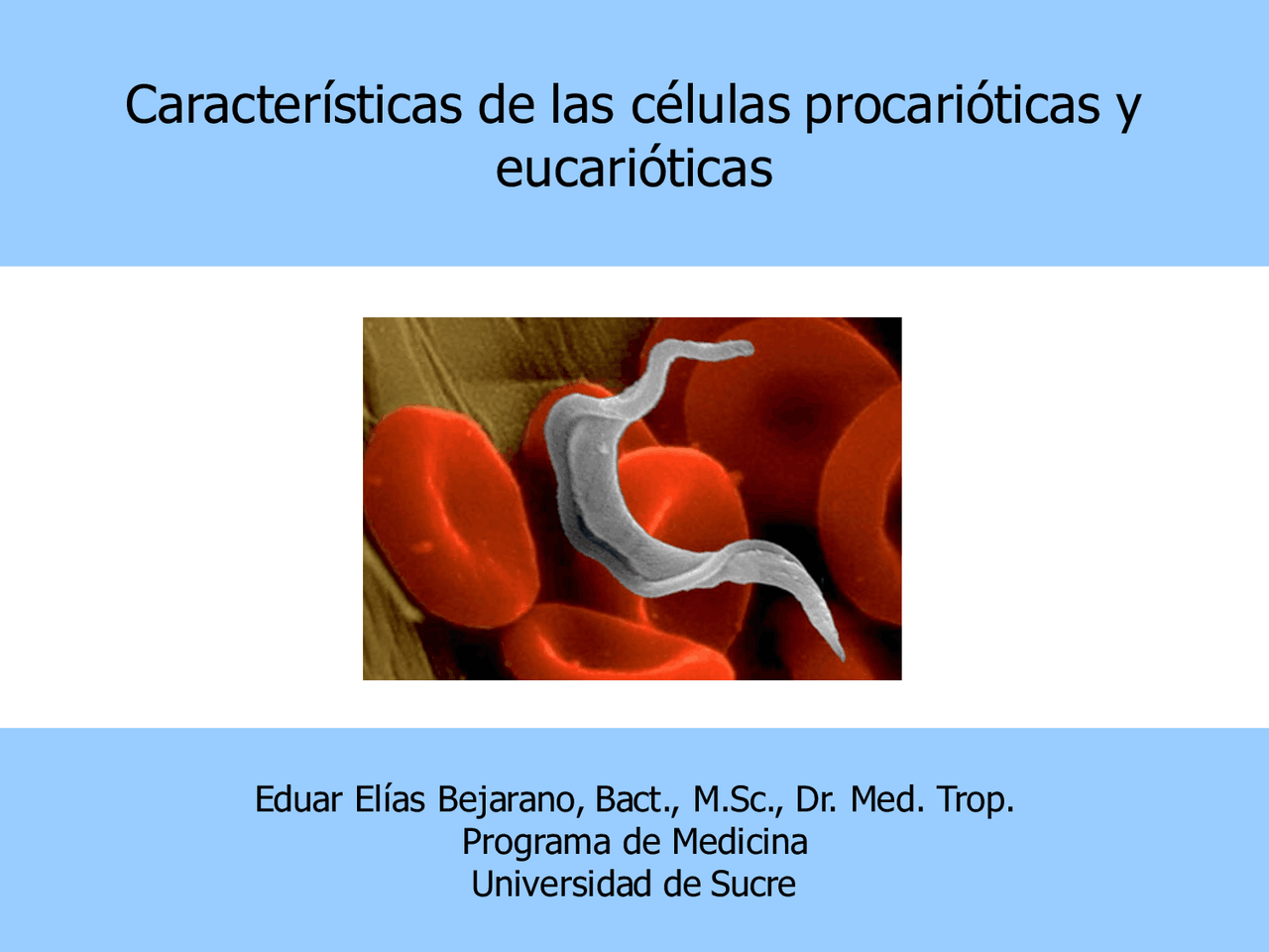 Características De Procariotes Y Eucariotes Docsity