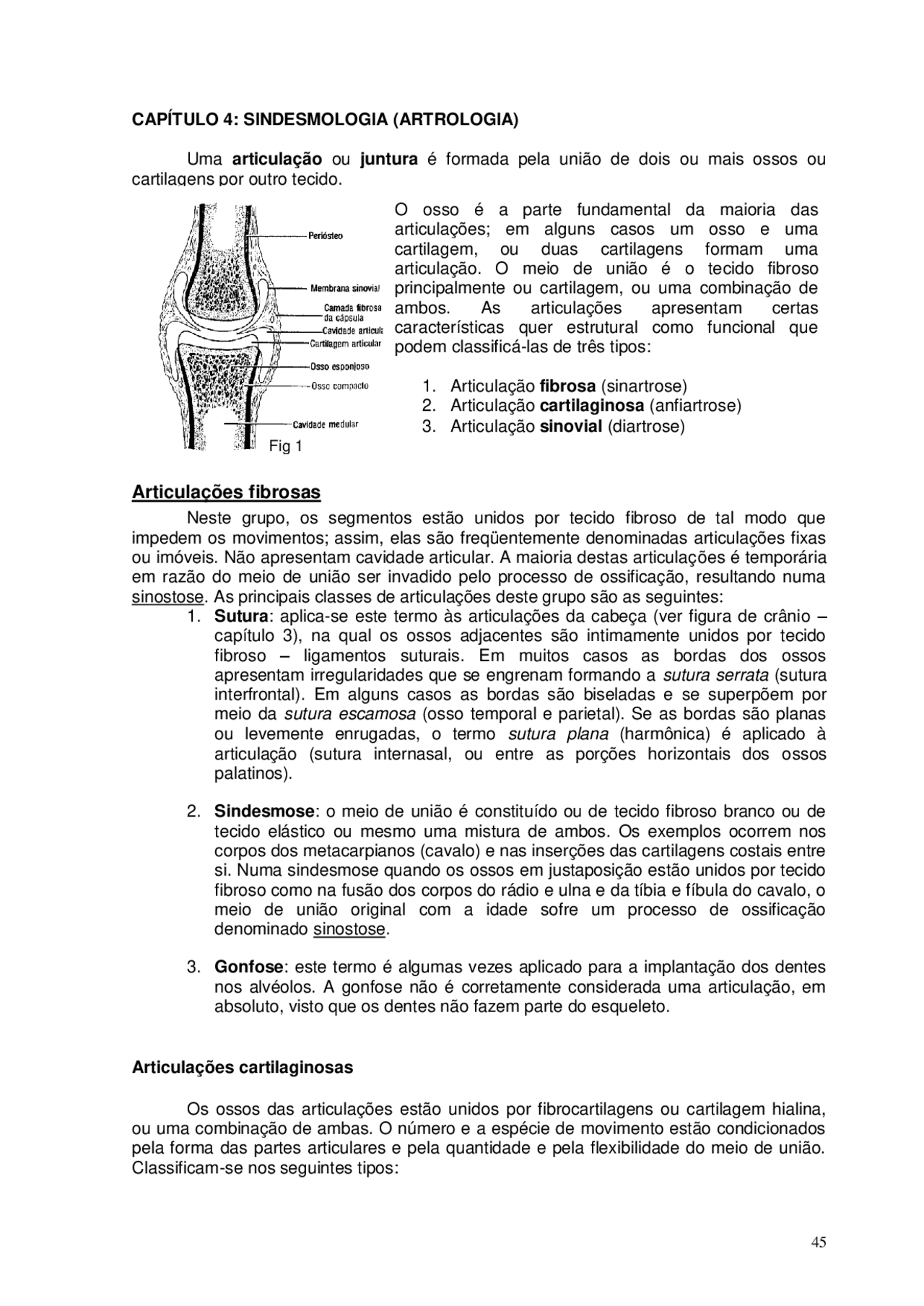 Sindesmologia dos animais - Docsity