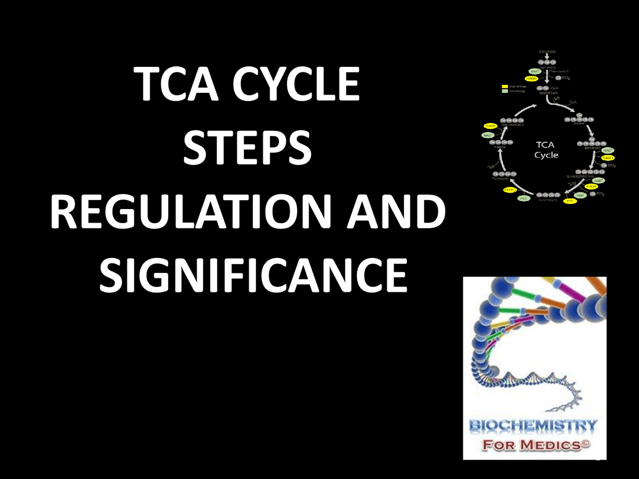 TCA cycle steps and regulation - Docsity