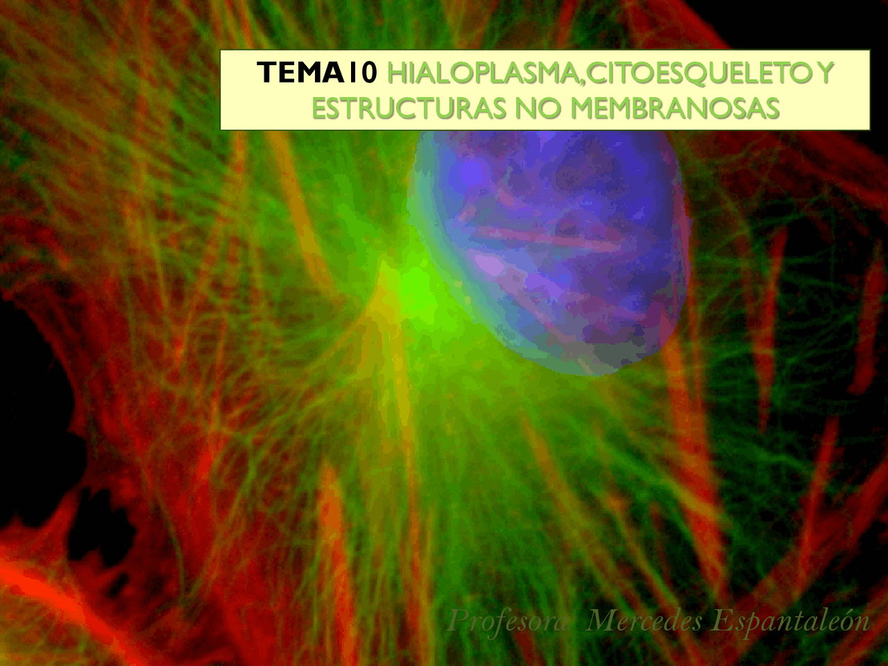 Tema 2-3. hialoplasma, citoesqueleto y estructuras no membranosas ...
