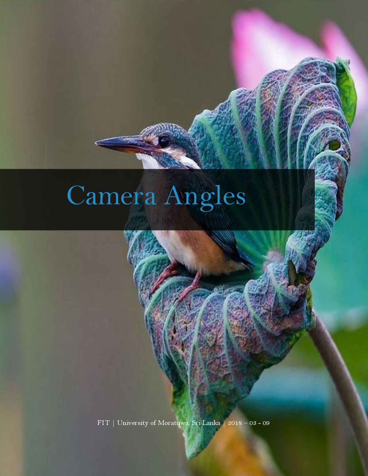 Camera Angles Introduction to Photography - Docsity