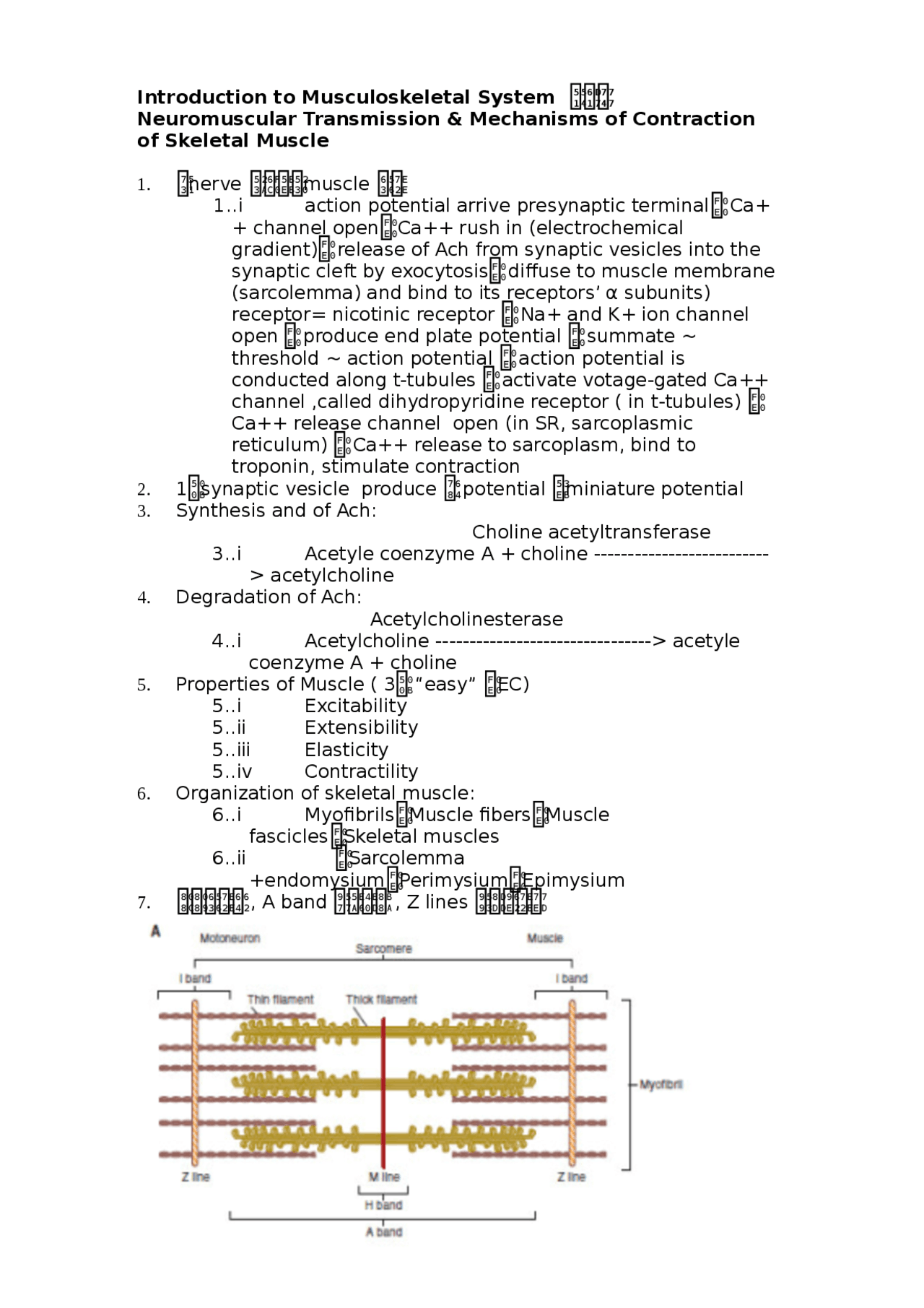 About the human physiology notes - Docsity