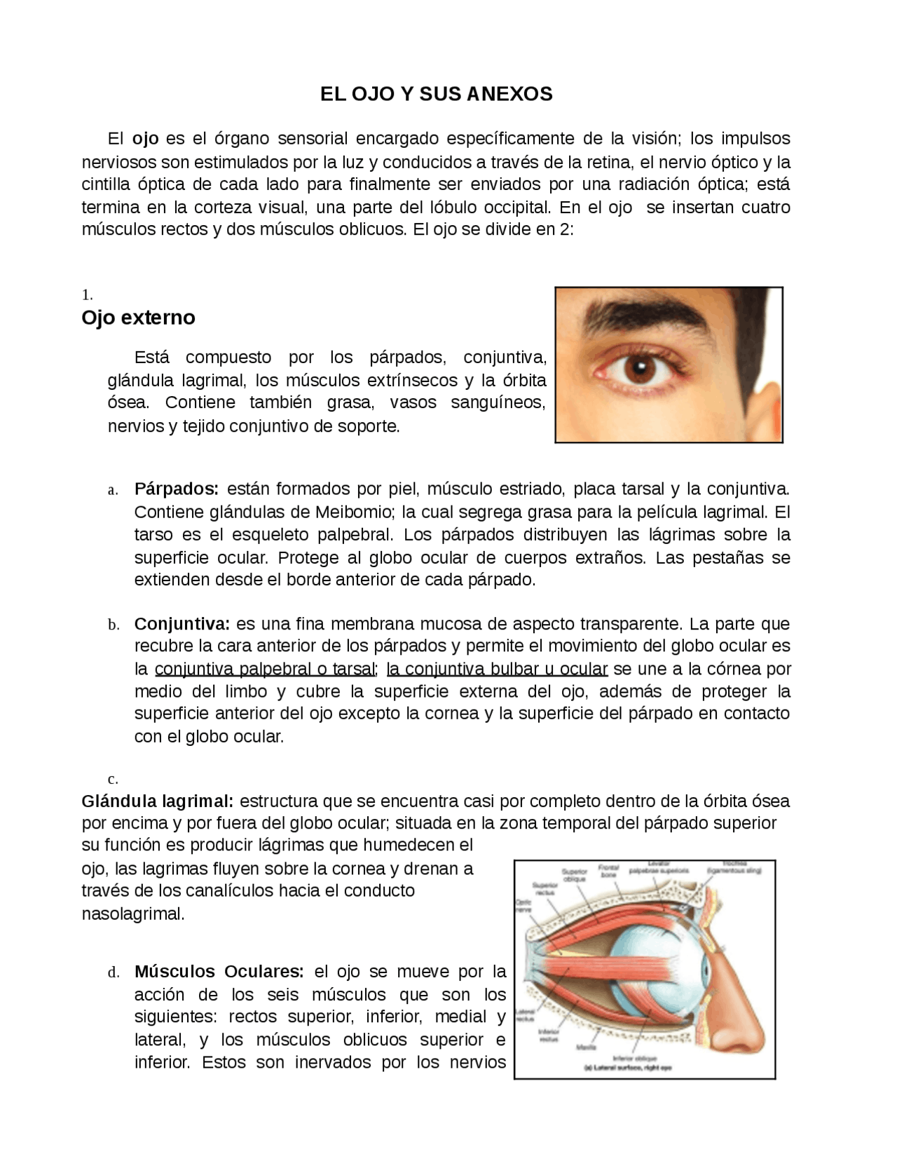 Semiología Apuntes Completos Docsity