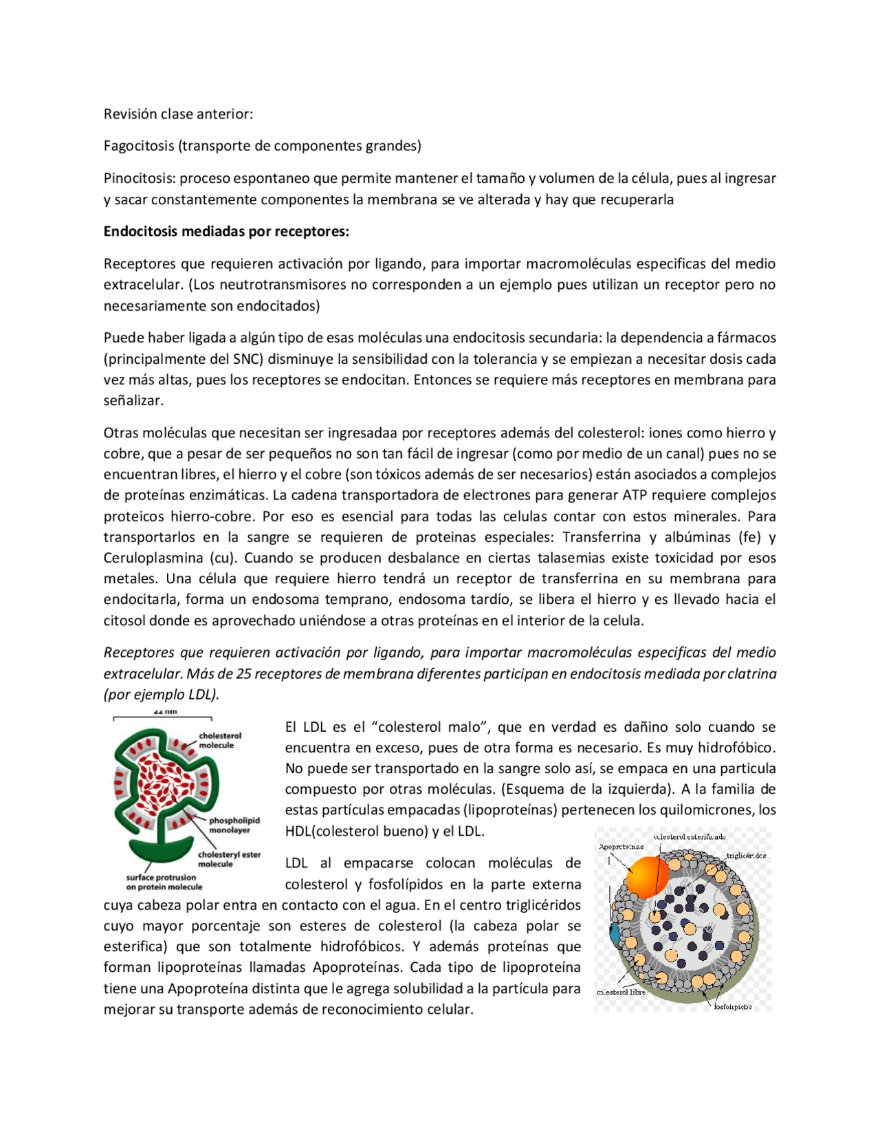 Apuntes Biología Celular Docsity