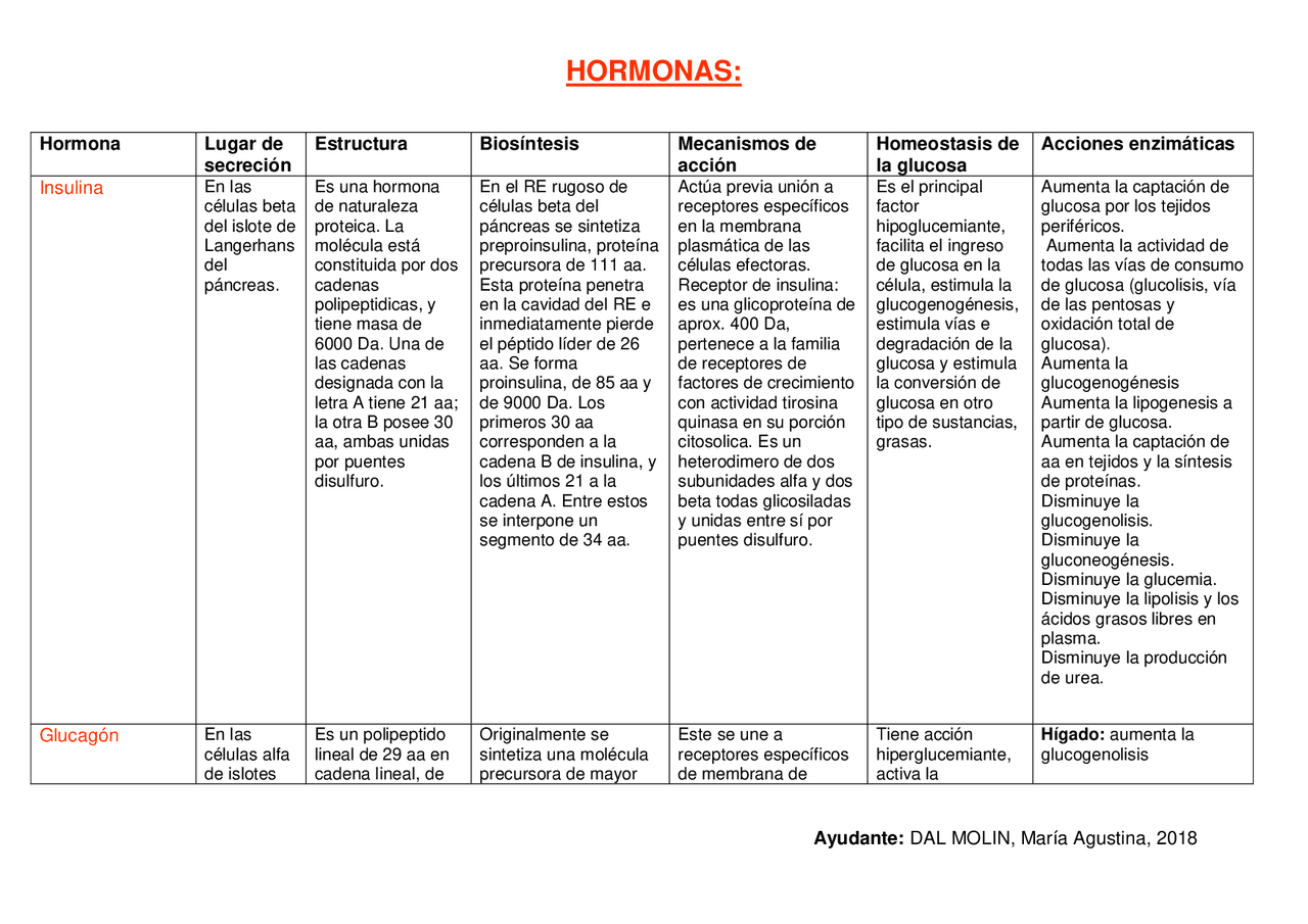 Hormonas Docsity