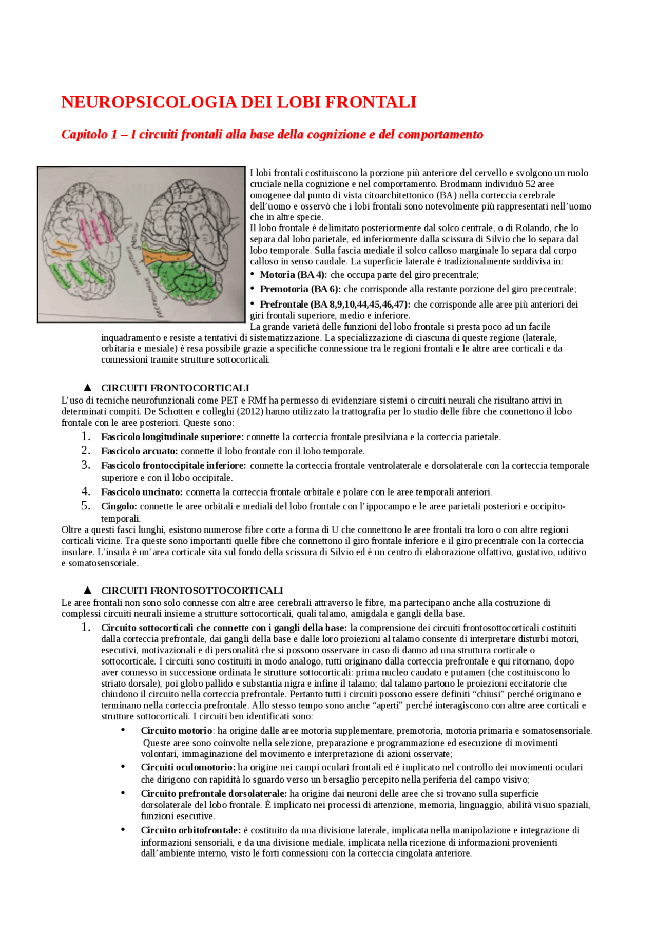 NEUROPSICOLOGIA DEI LOBI FRONTALI - Docsity