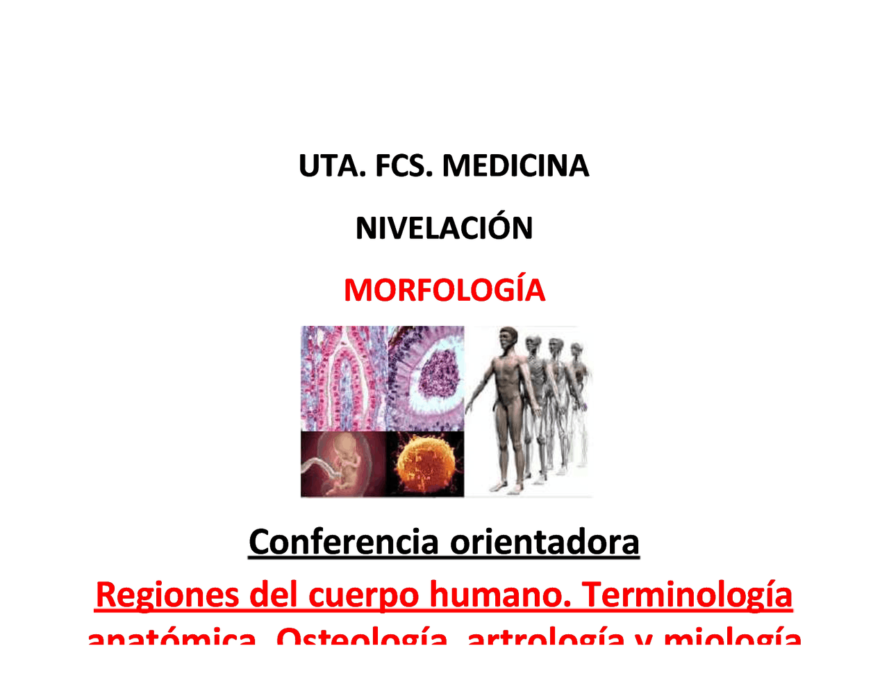 Soma, resumen de soma y generalidades - Docsity