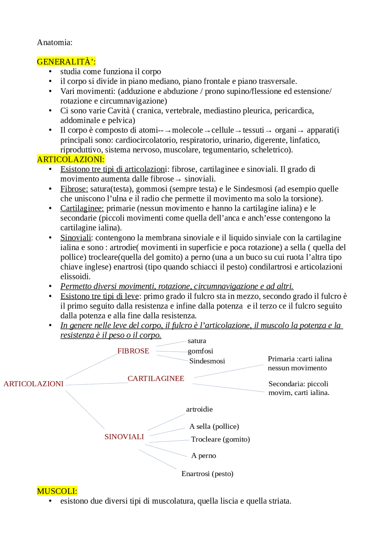 Riassunto Anatomia Approfondito Docsity