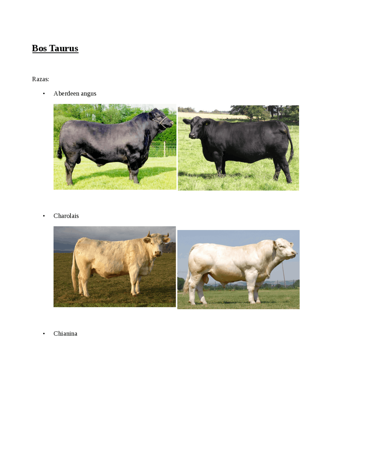 Imágenes Bos Taurus y Bos Indicus - Docsity