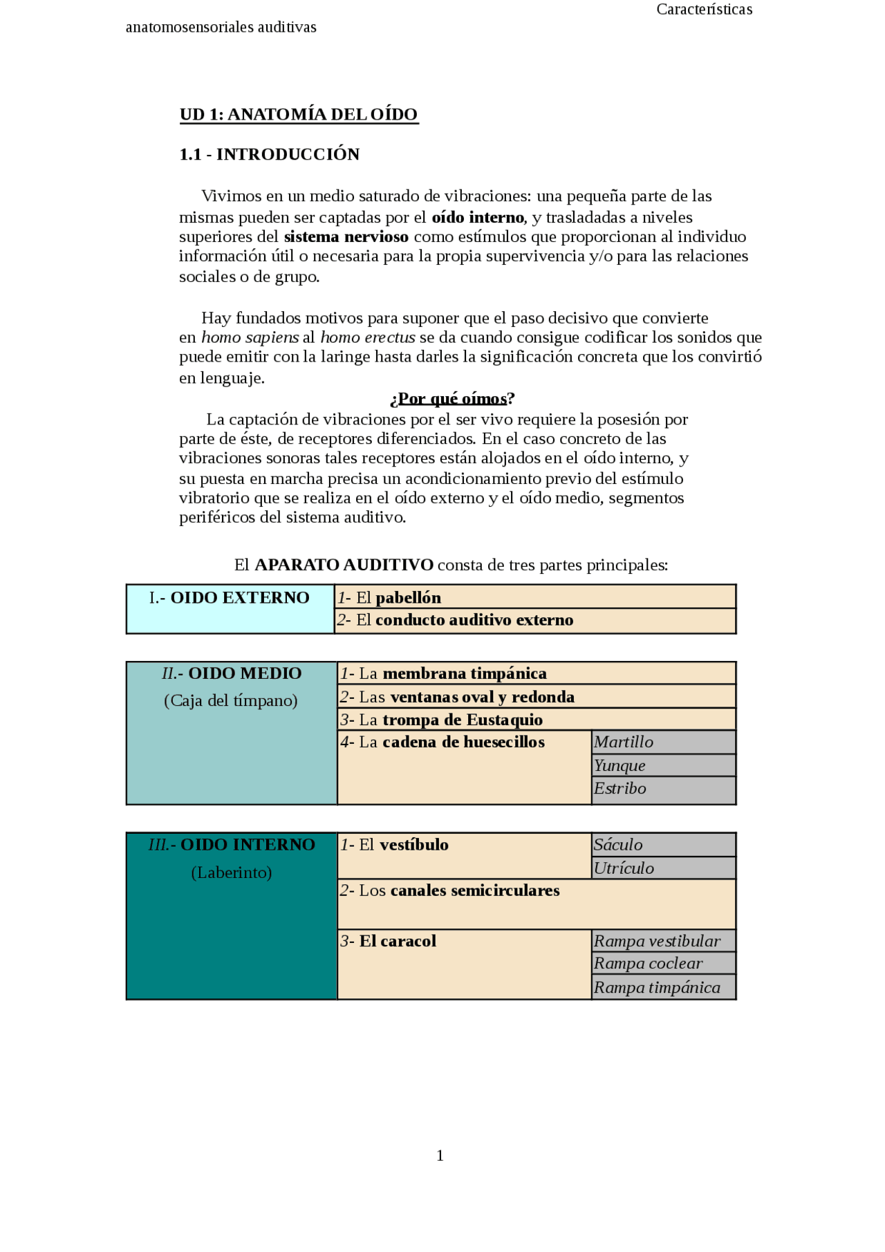 Anatomía Del Oído Externo Y Medio Docsity