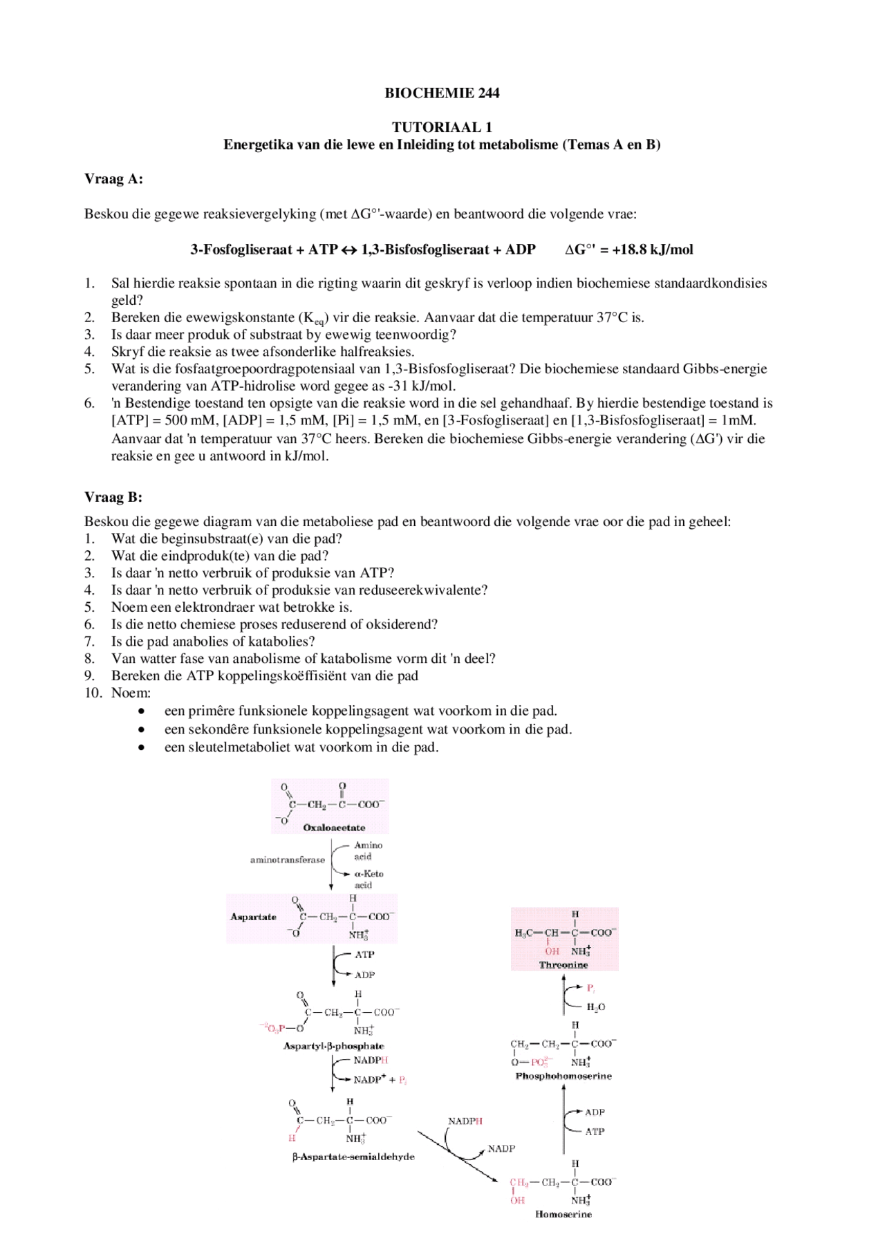 Biochemistry tutorial questions | Exercises Biochemistry | Docsity