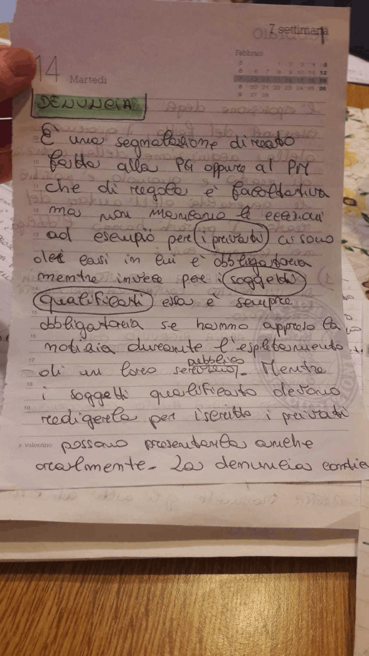 Schemi Procedura Penale Schemes And Mind Maps Of Diritto Processuale