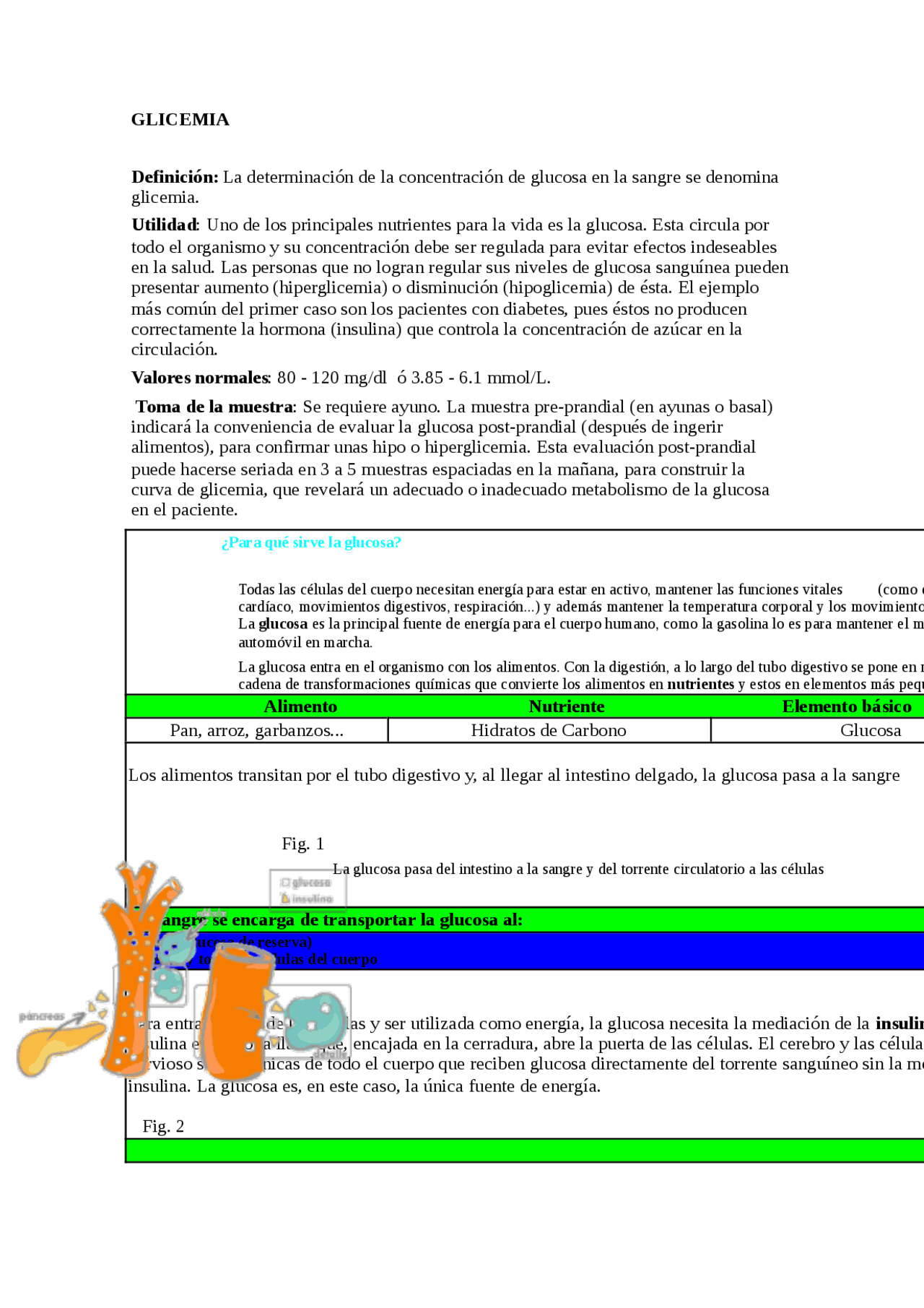 Glicemia Material Complementario - Docsity