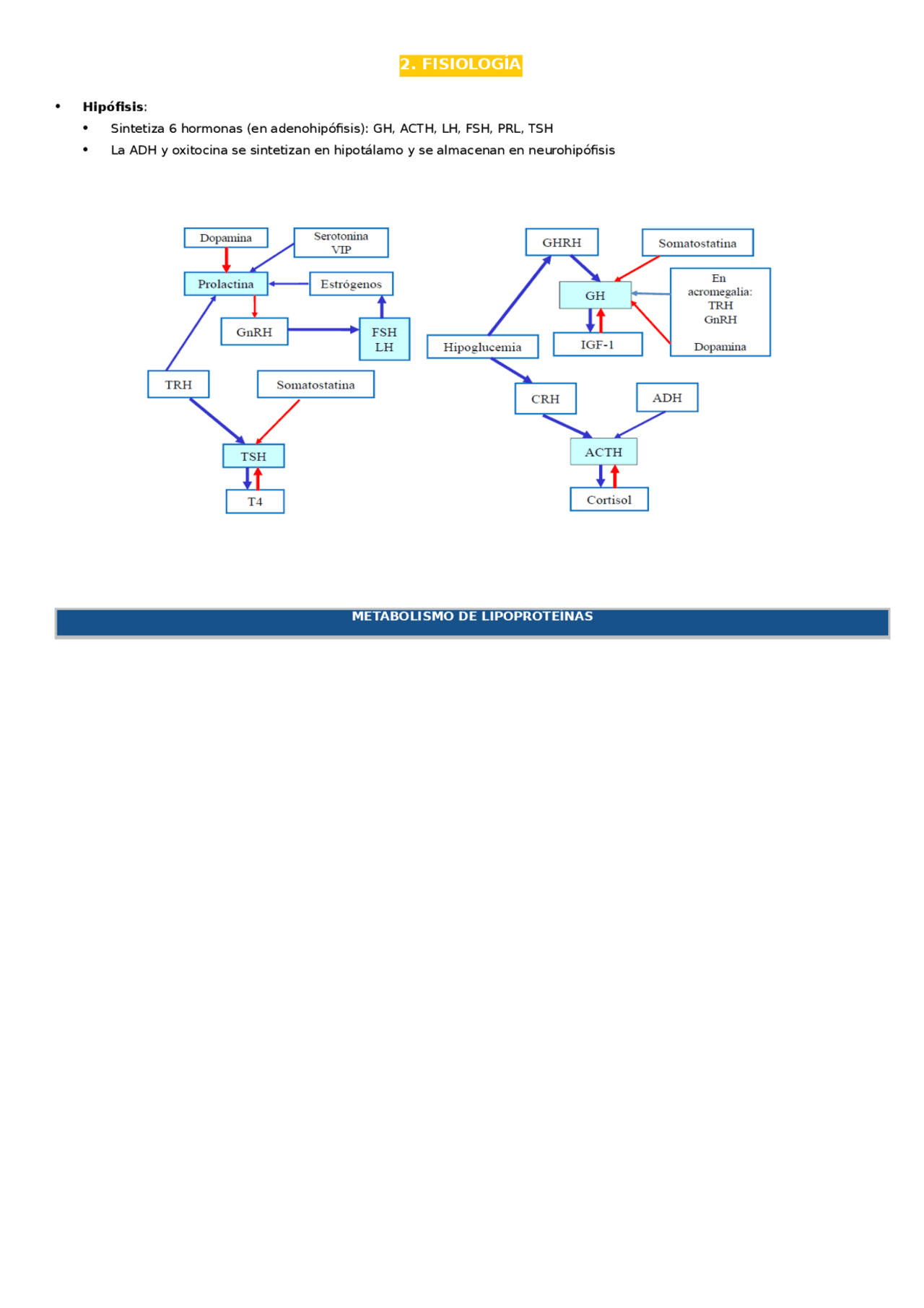 Resumenes Endocrinologia Docsity