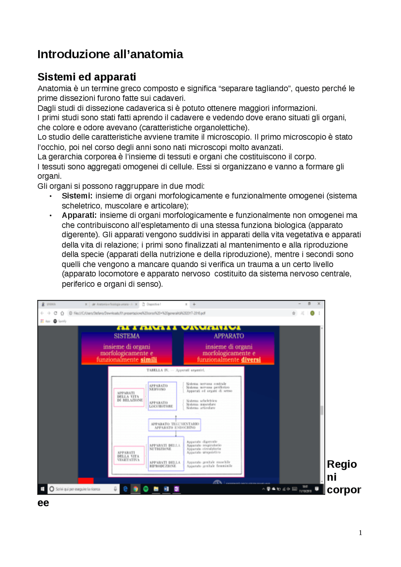 Schema Riassuntivo Anatomia Schemi E Mappe Concettuali Di Anatomia