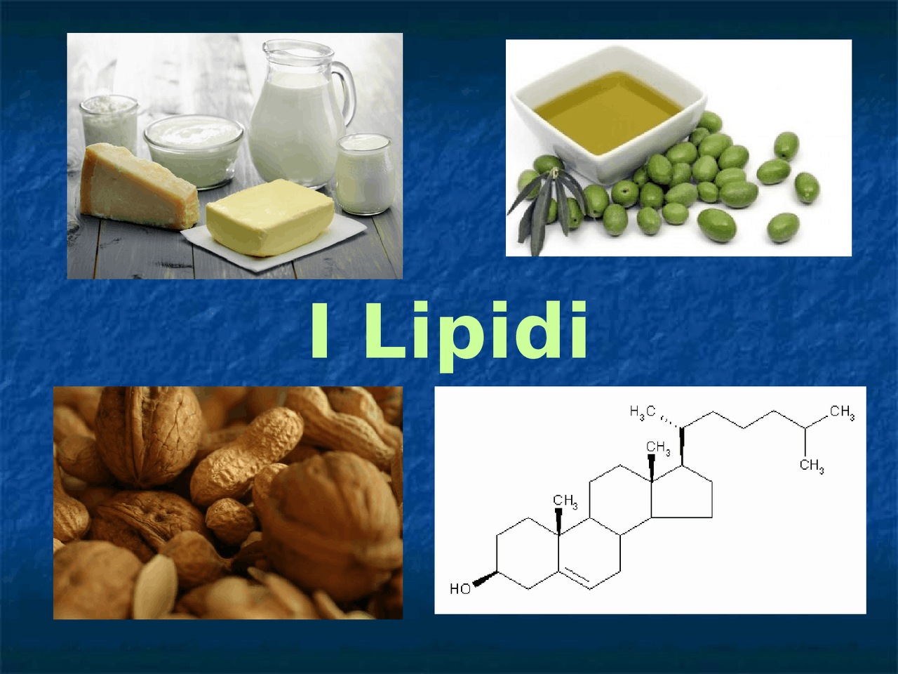 Slide Sui Lipidi O Grassi Docsity
