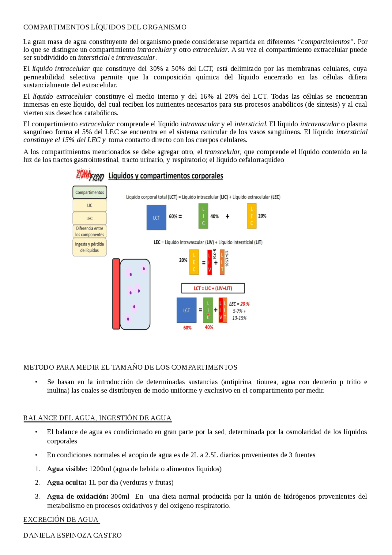 Compartimentos Liquidos Corporales Docsity
