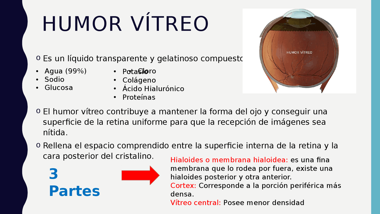 Humor acuoso y vitreo | Diapositivas de Oftalmología - Docsity