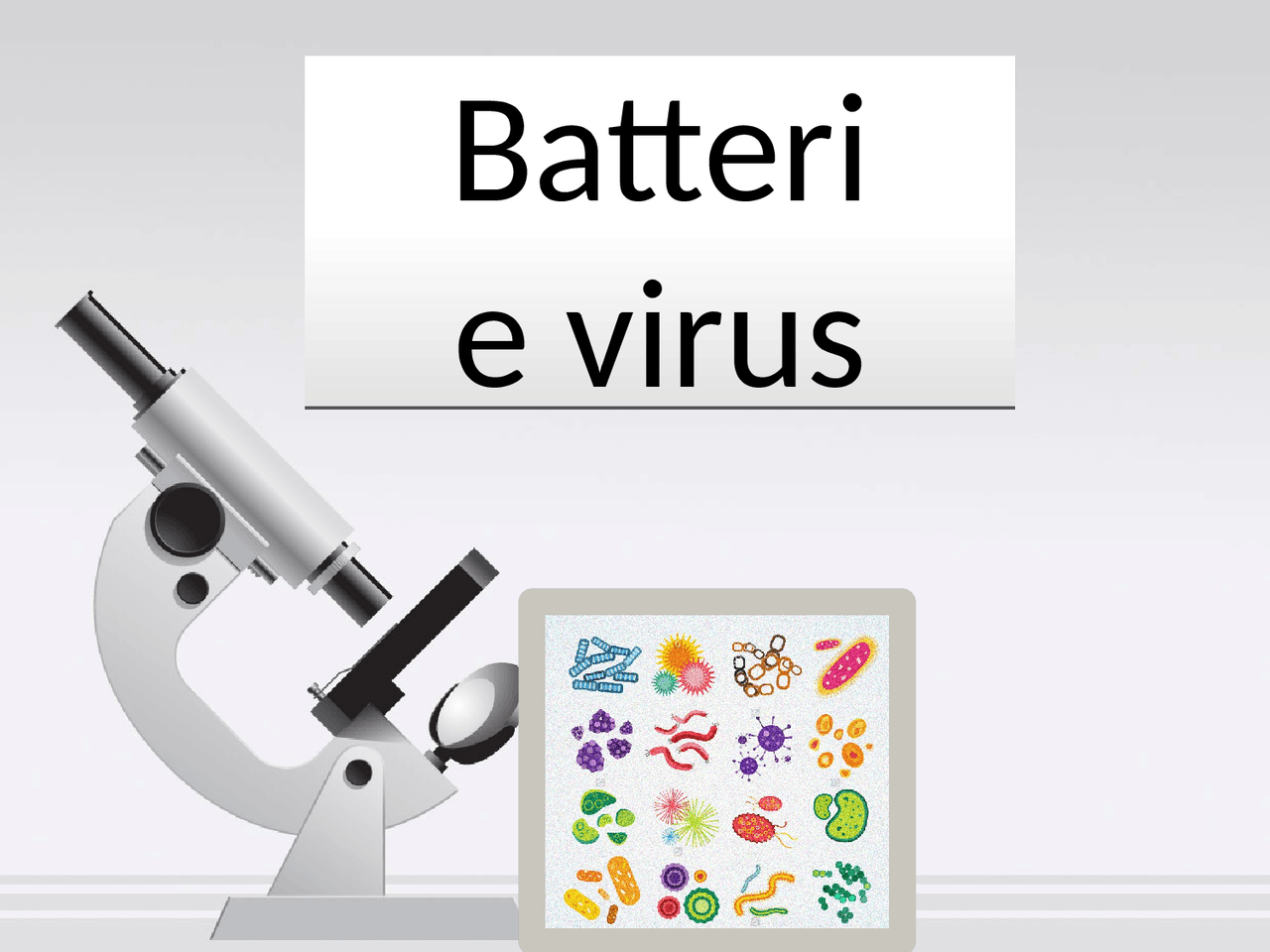 Slide Differenze Tra Batteri E Virus Docsity