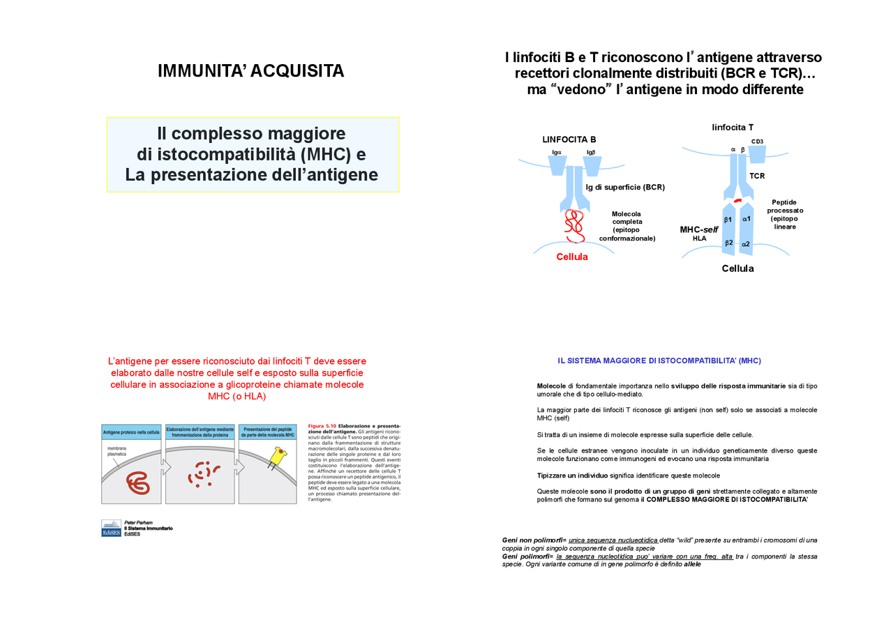 Riassunti Slides E Inserimento Appunti Docsity