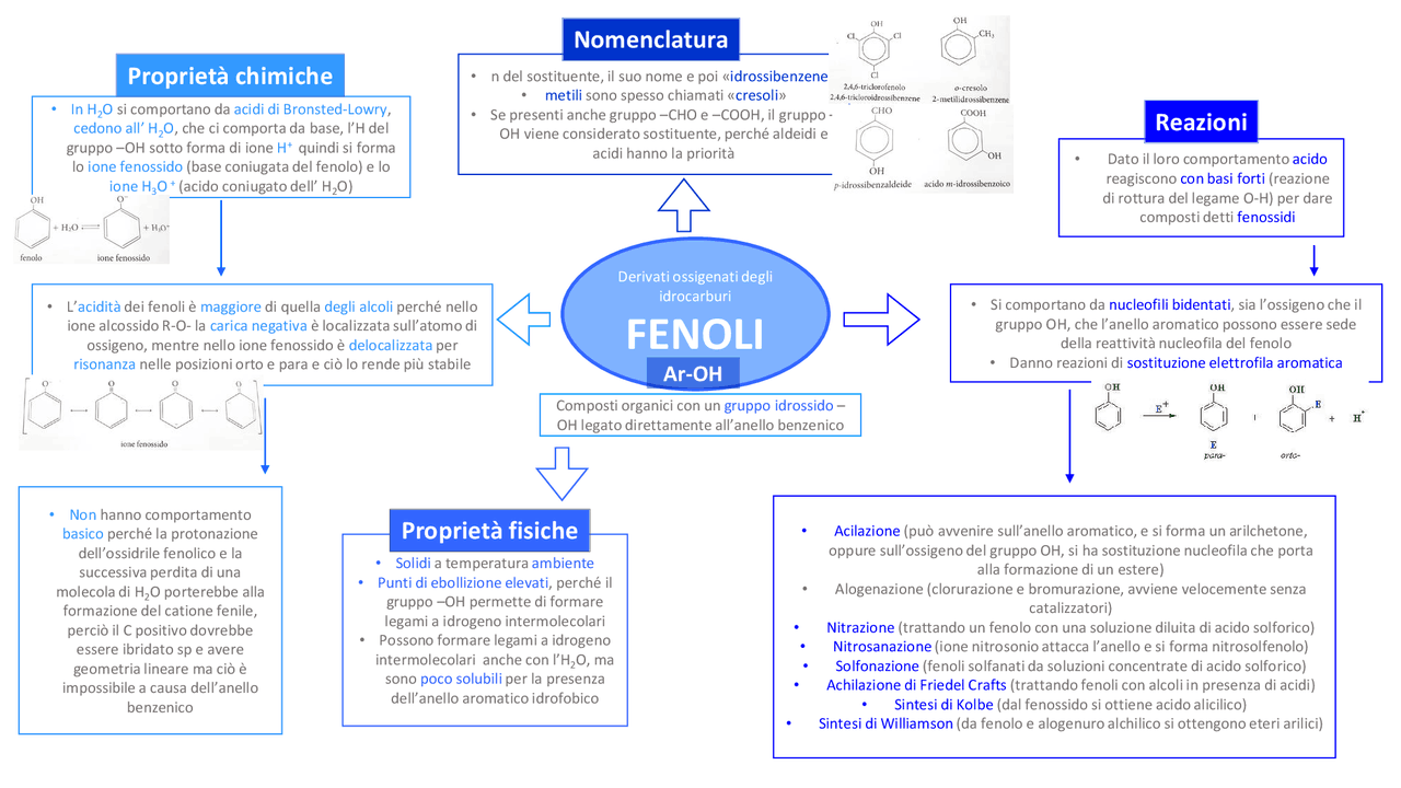 Schema Riassuntivo Sui Fenoli Docsity