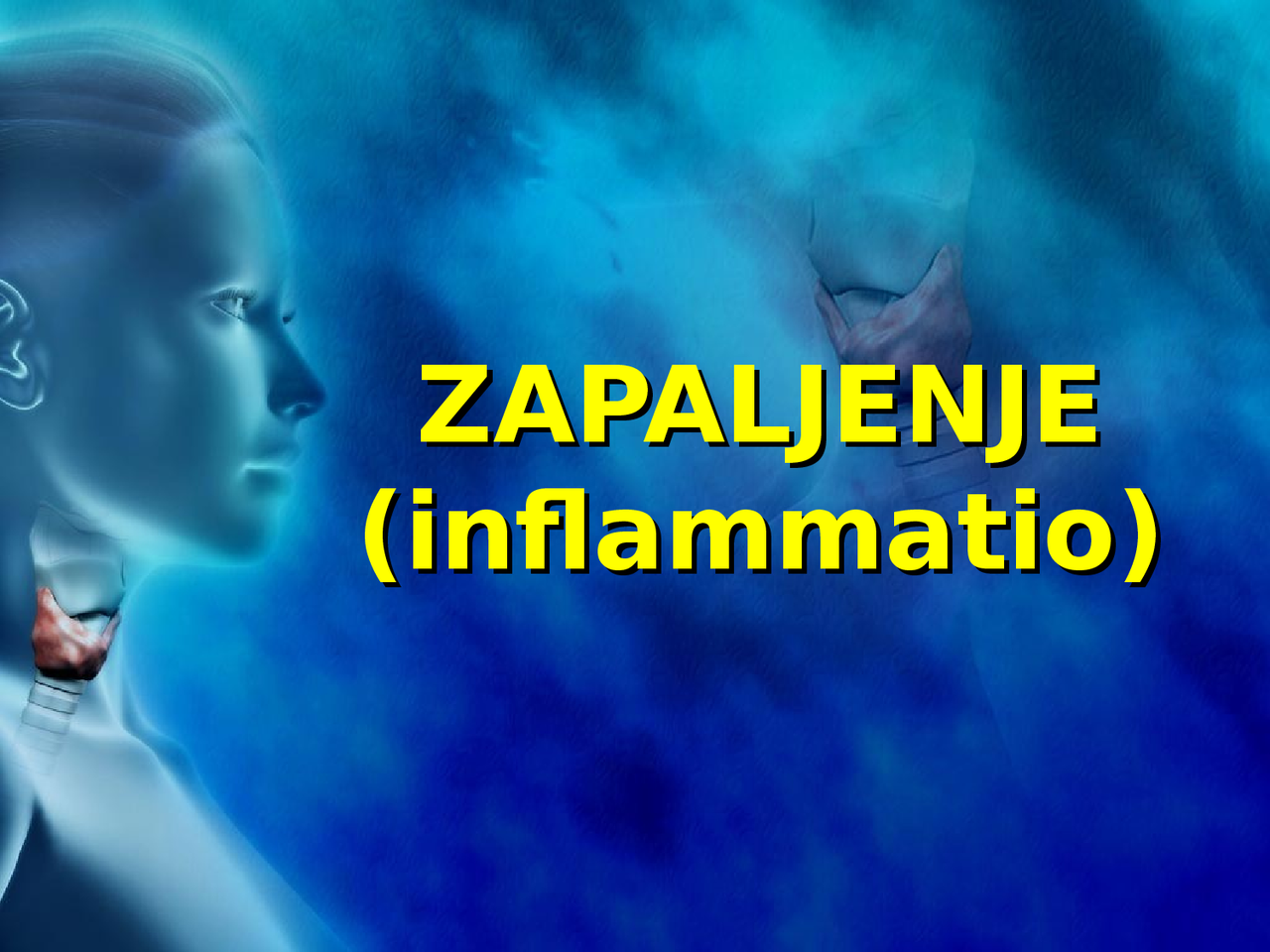 Vrste Zapaljenja Patologija Skripte Predlog Patologija Docsity