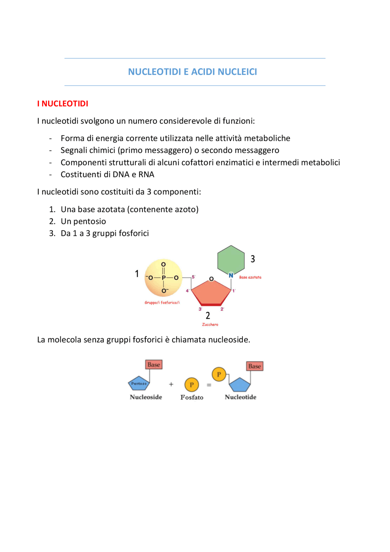 Nucleotidi E Acidi Nucleici Dal Libro Lehninger Docsity