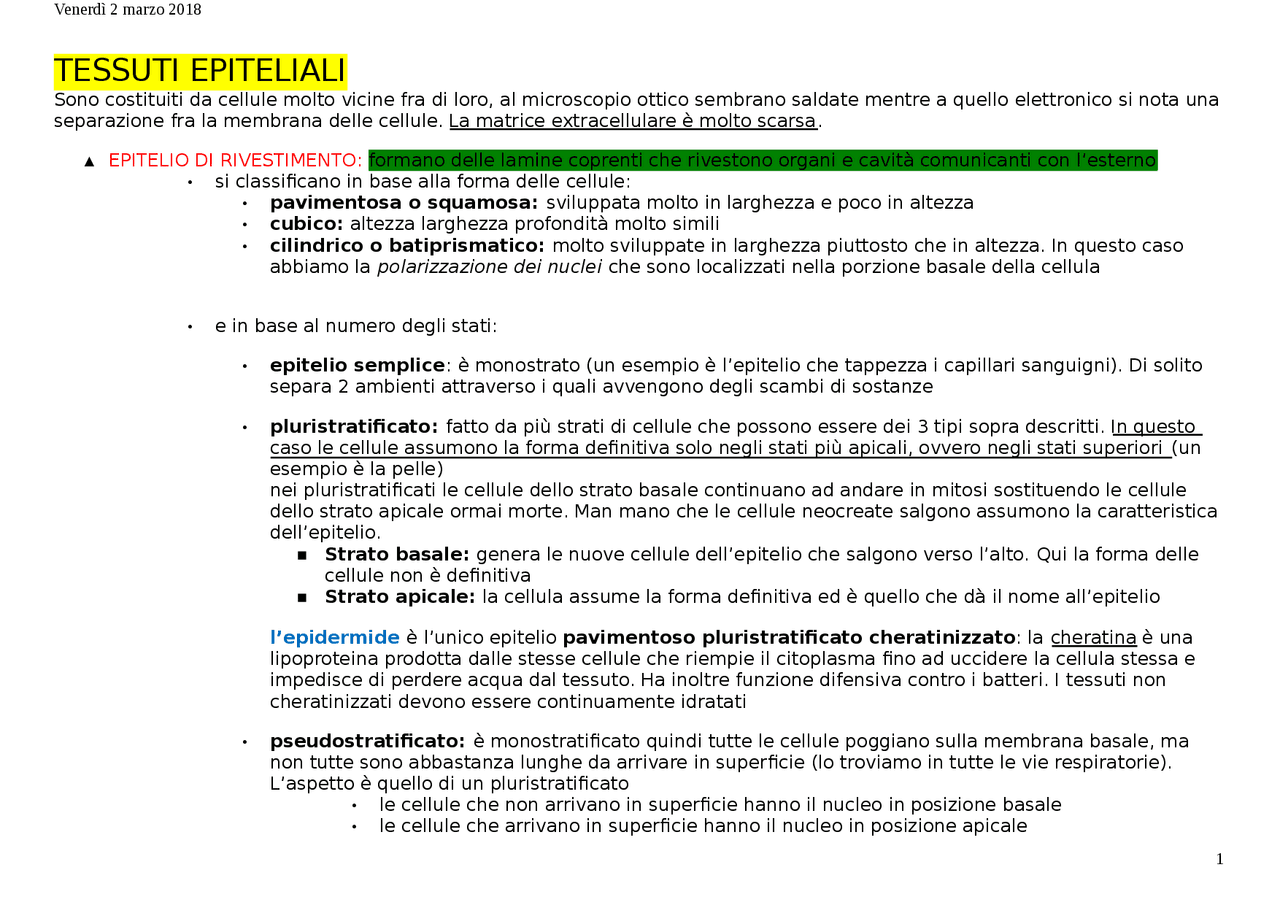 Appunti Anatomia Umana Scienze Motorie Docsity