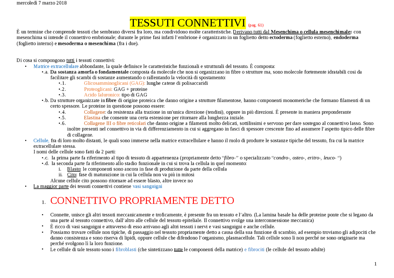 Appunti Anatomia Umana Scienze Motorie Docsity