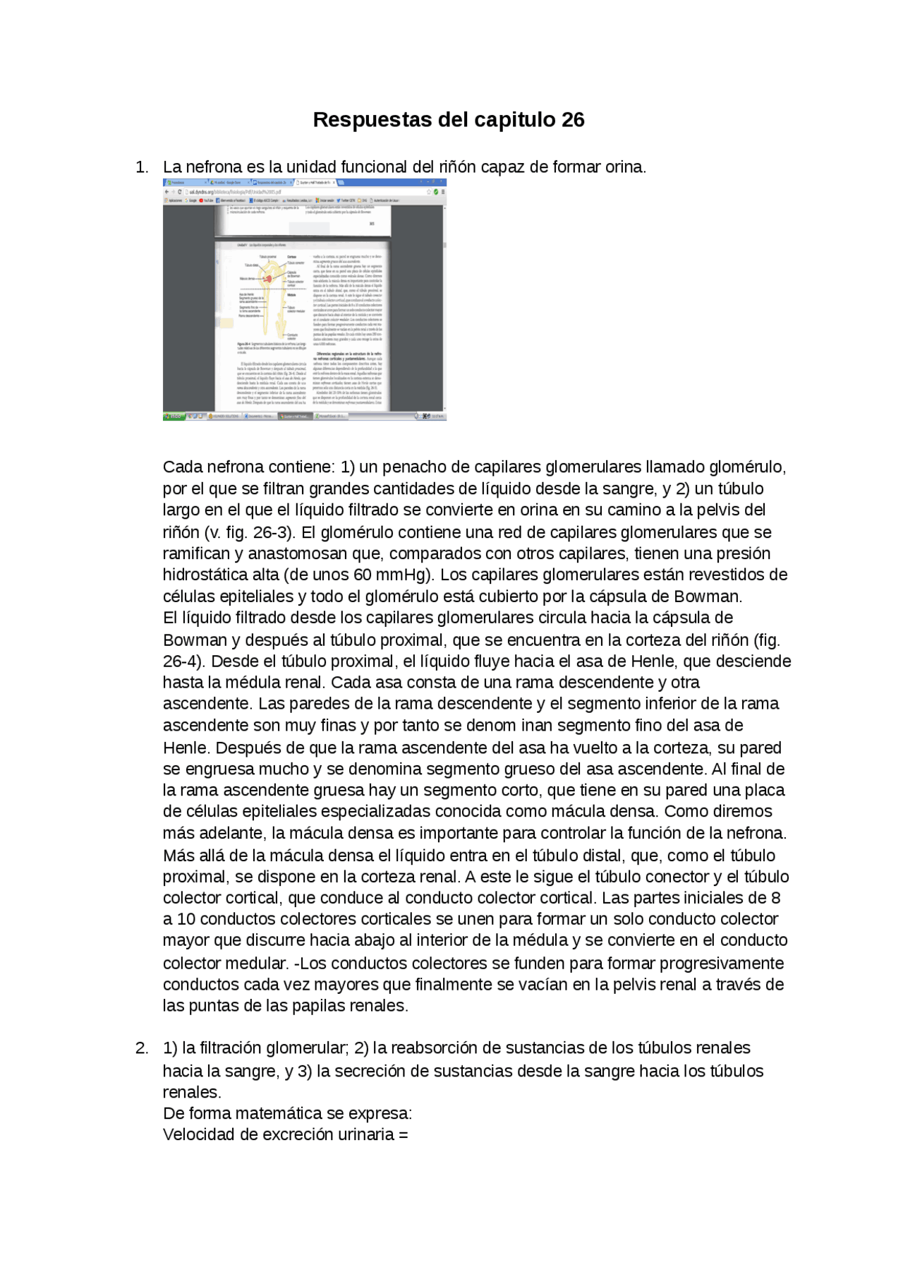 Respuestas del capitulo 26 de guyton - Docsity