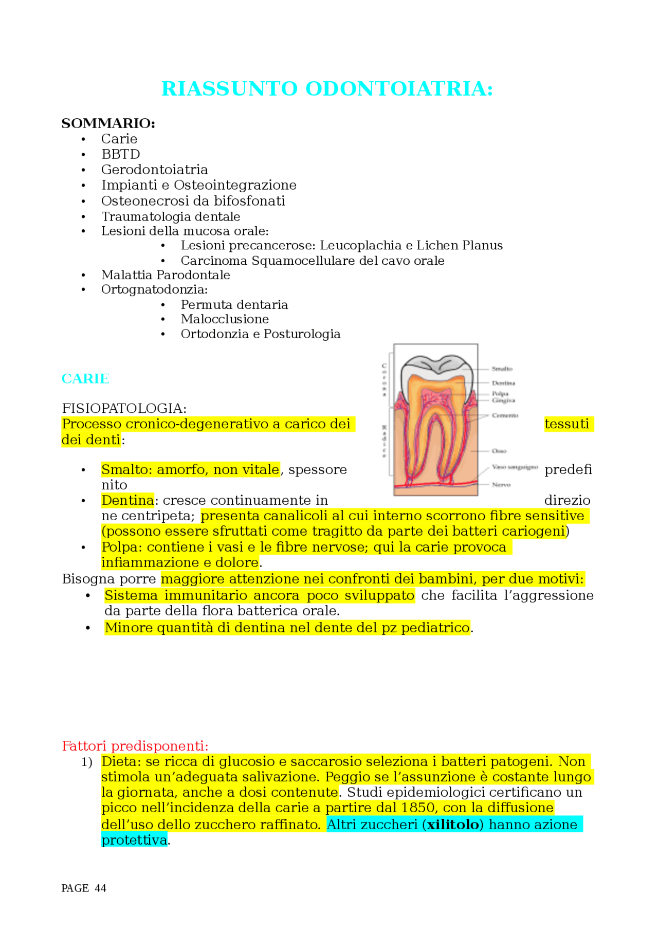 Riassunto Odontoiatria Docsity