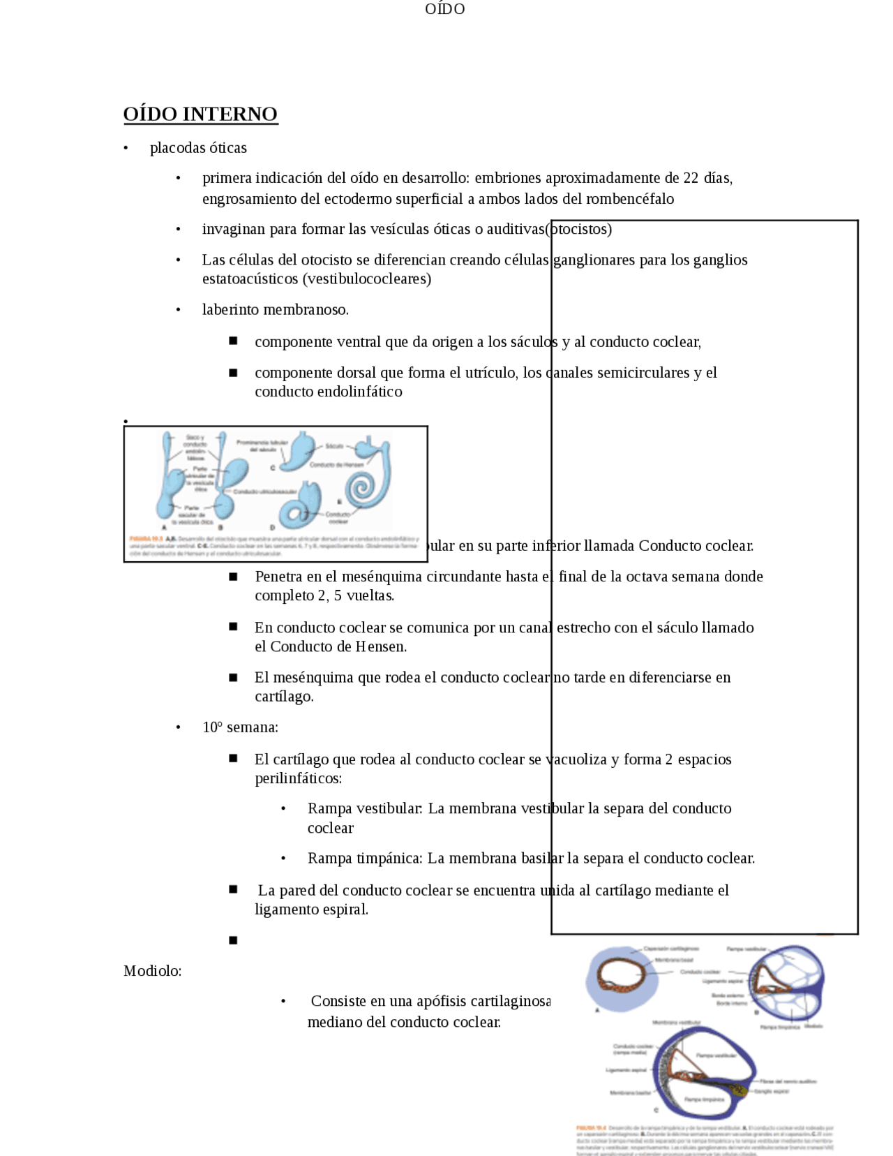 Resumen Oído Embriología De Langman Docsity